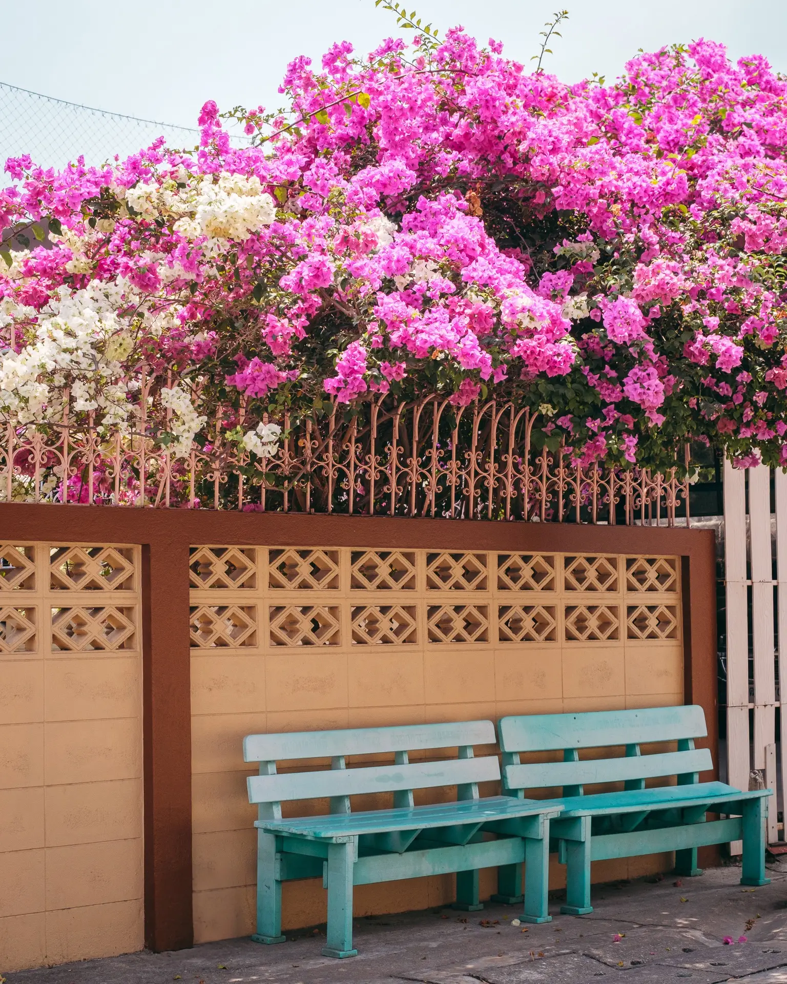 She Beam โฮมคาเฟ่คิวท์ๆ ย่านเกษตรนวมินทร์ 💕🏡 | แกลเลอรีที่โพสต์โดย Rattomarty | Lemon8