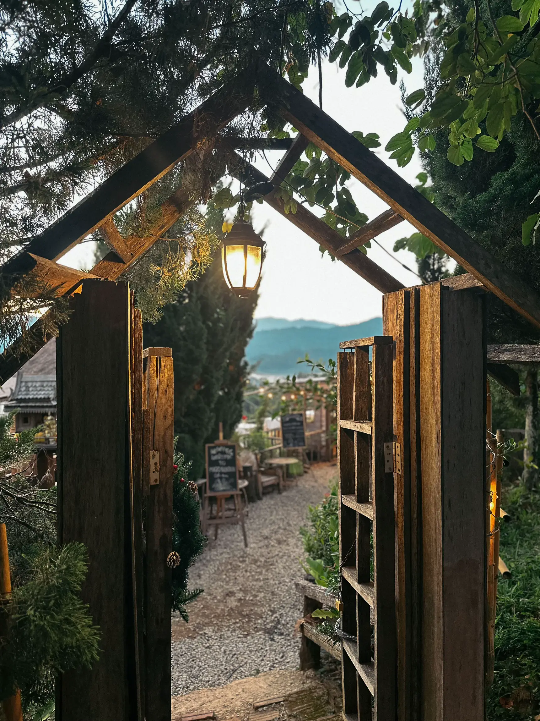 Magic Mountain Cafe ภูลังกา | แกลเลอรีที่โพสต์โดย เที่ยว..สุดทาง | Lemon8