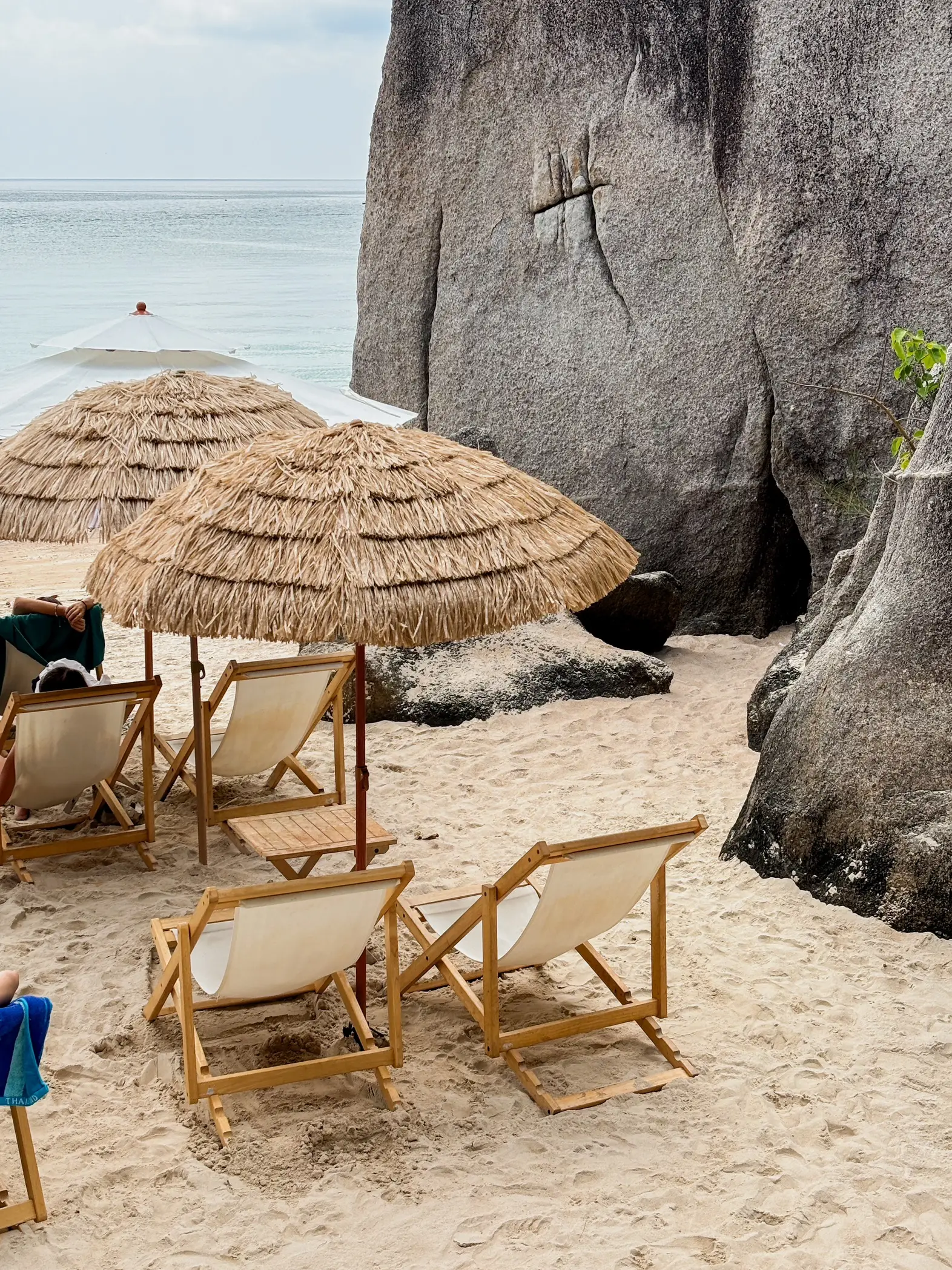 Cactus คาเฟ่ ~ เกาะเต่า | แกลเลอรีที่โพสต์โดย kwg.st | Lemon8