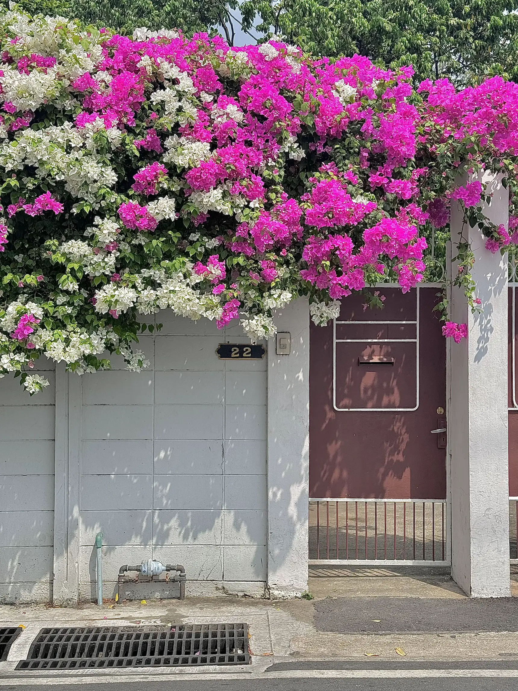 Full Bloom ARI SOI 5 | แกลเลอรีที่โพสต์โดย Beaut 3eaut🩵 | Lemon8