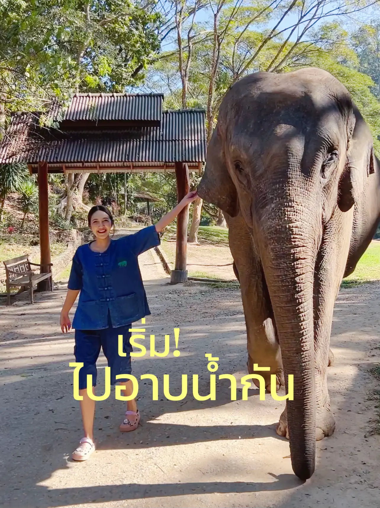 💦 อาบน้ำช้าง 🐘 @ปางช้างแม่สา เชียงใหม่ | แกลเลอรีที่โพสต์โดย . hannee ...