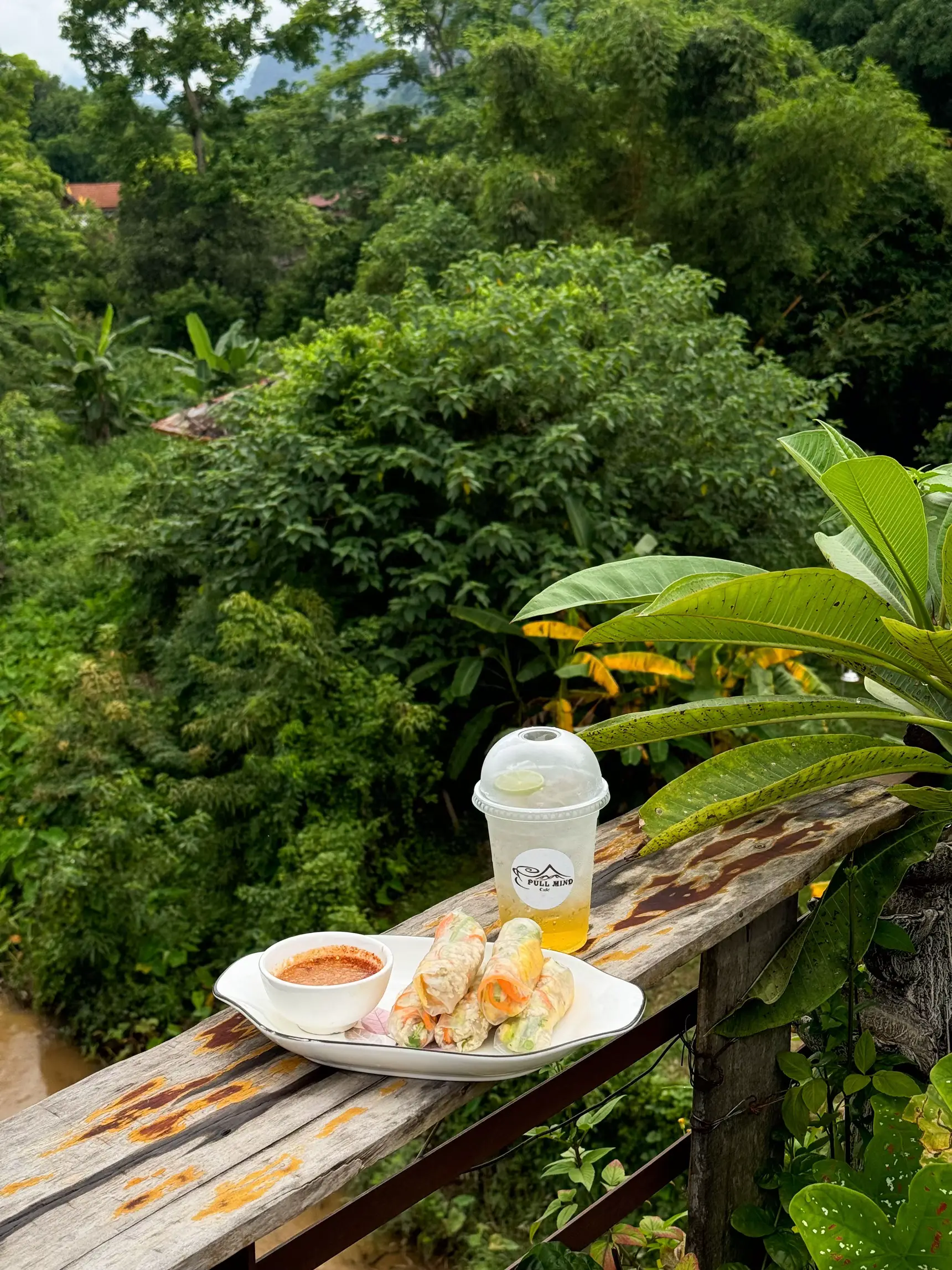 คาเฟ่กลางหุบเขาสุดชิล วิวสวยหลักล้าน แห่งเมือง #วังเวียง 🇱🇦🥤🍃 | แกลเลอ ...