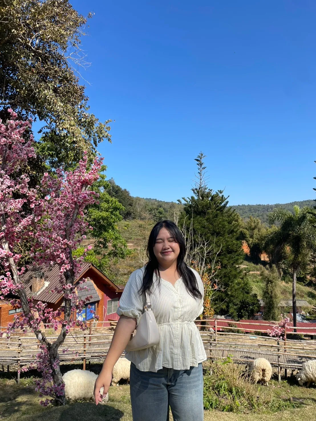 ม่อนแจ่ม 1 day trip 🫶🏻🪻🌷💖 | แกลเลอรีที่โพสต์โดย BaiBai💖 | Lemon8