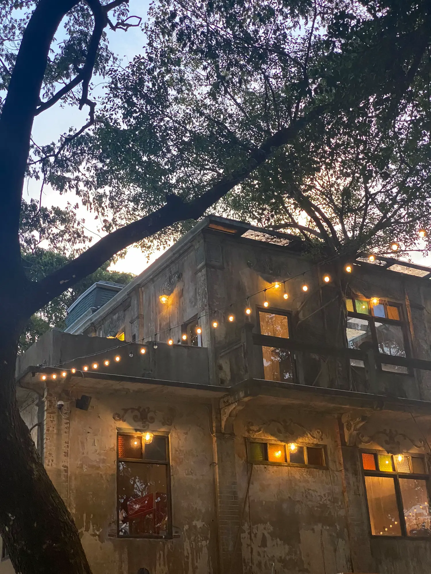 Long lux | แกลเลอรีที่โพสต์โดย Baipat | Lemon8