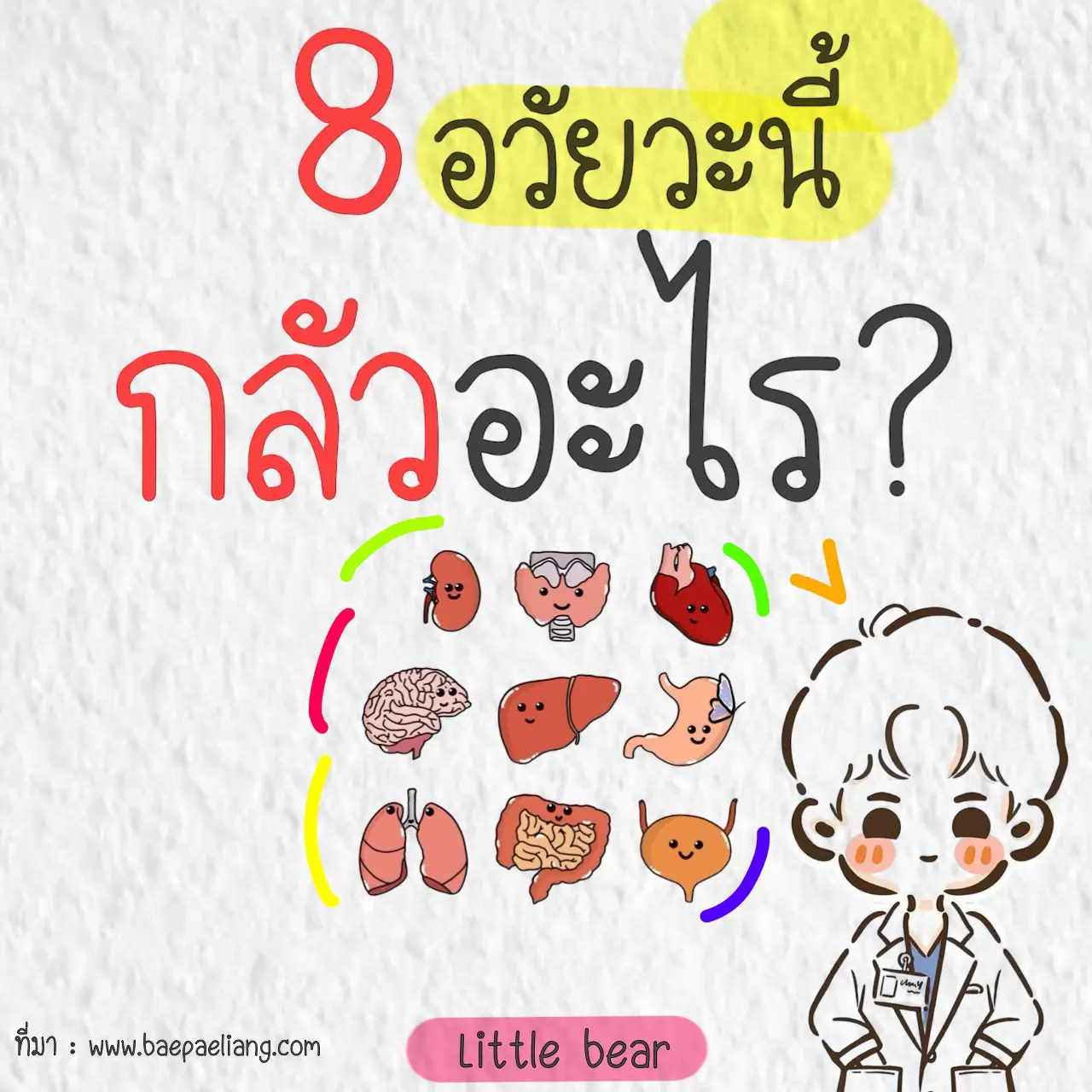 8 อวัยวะนี้ กลัวอะไร? ดูแลสุขภาพกันด้วยนะ🫶 | แกลเลอรีที่โพสต์โดย Little bear | Lemon8
