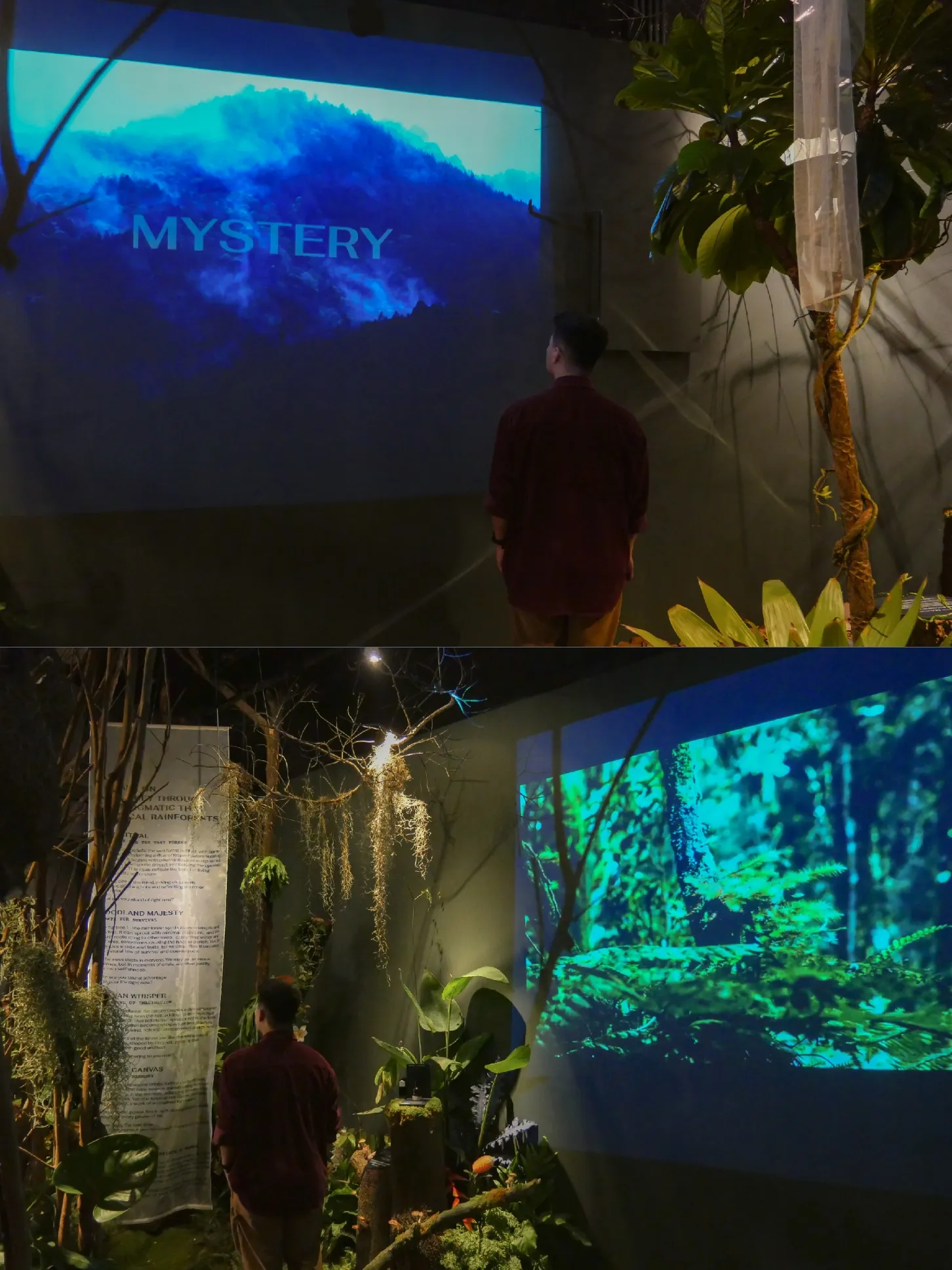 Forest Scent - Unveil Your Mystery ป่า และ น้ำหอม | แกลเลอรีที่โพสต์โดย ...