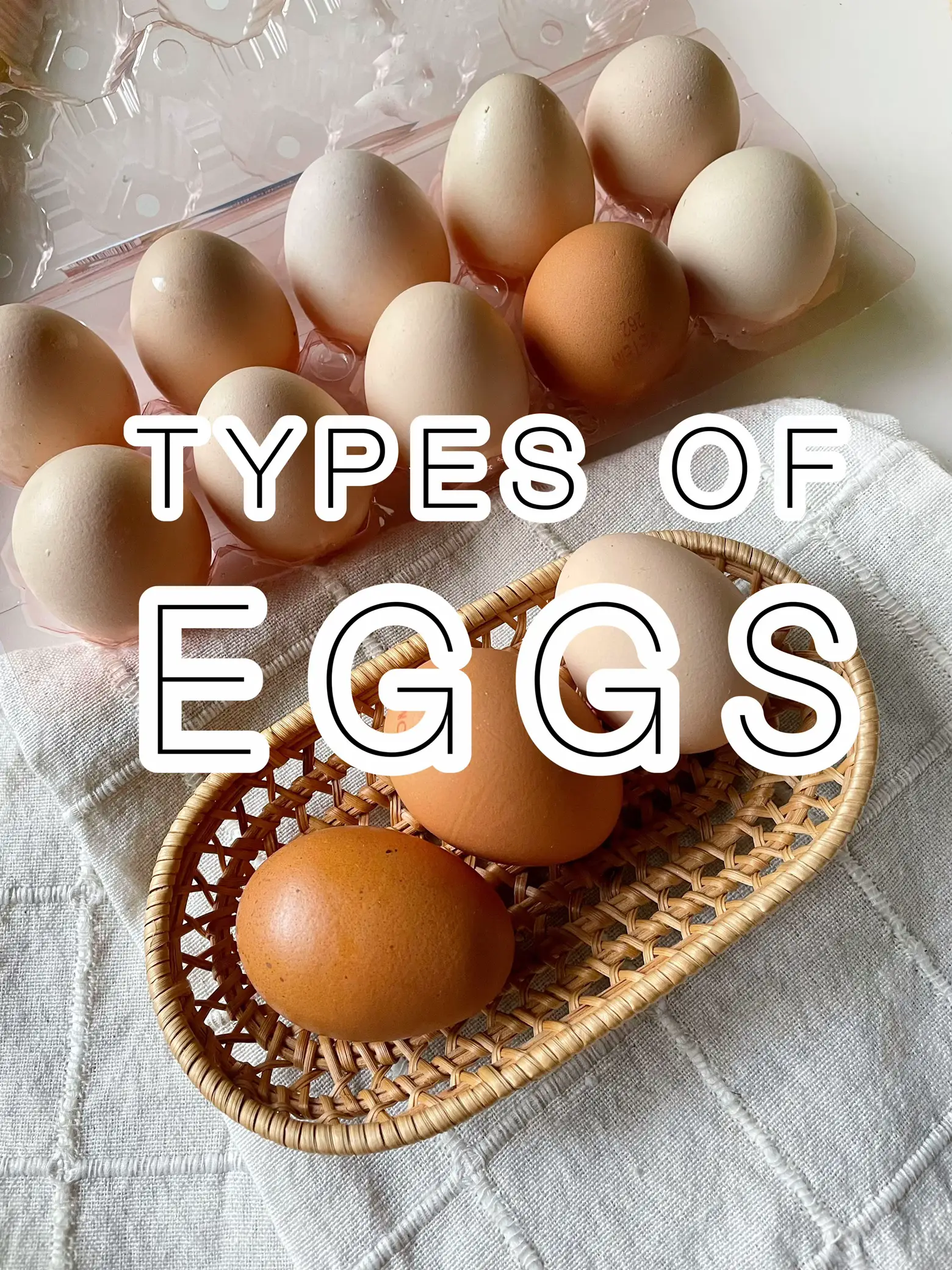 Type Of 🥚 Eggs | Galeri disiarkan oleh PnSyuhaida | Lemon8