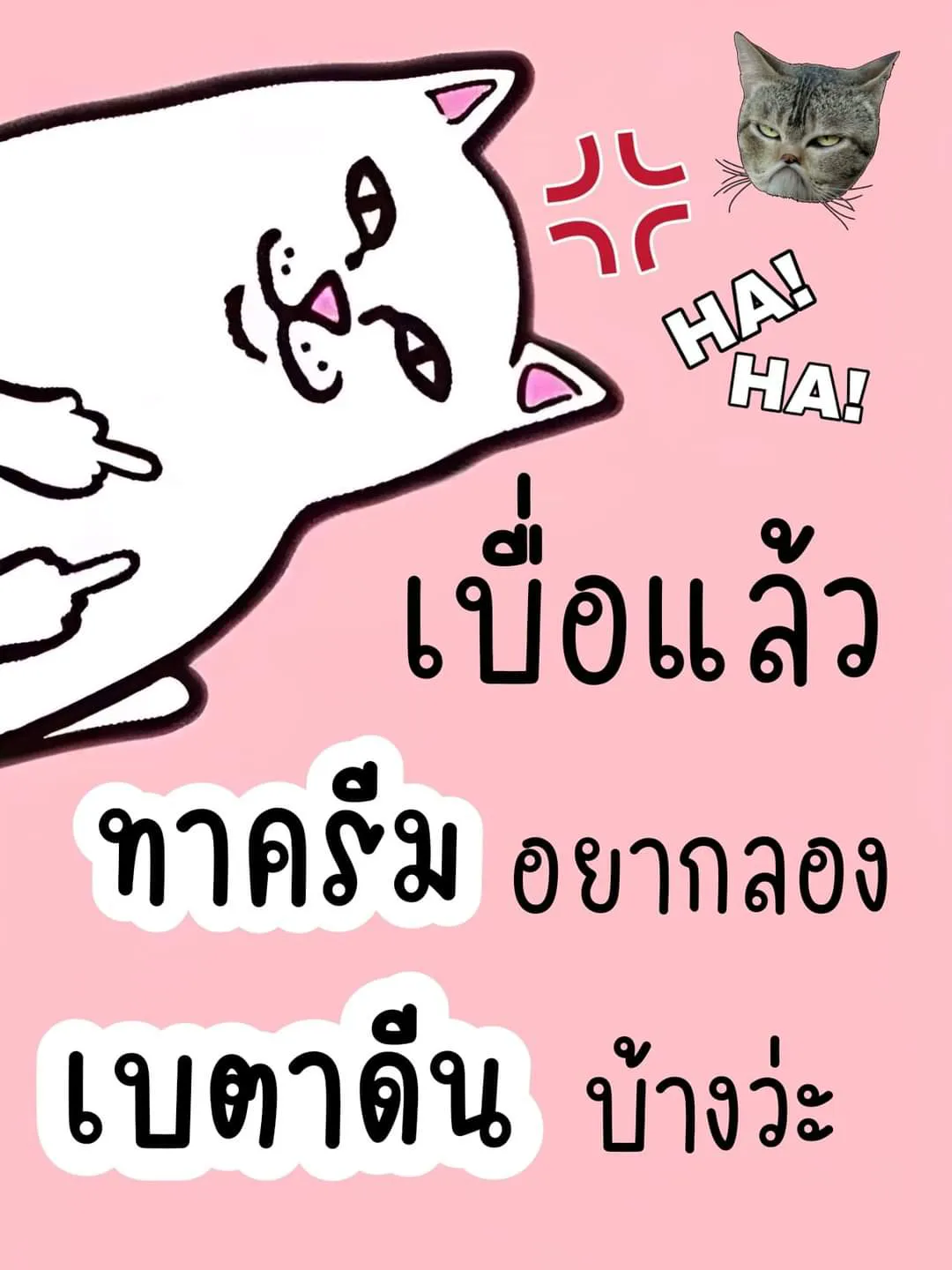 รวมคำคม แคปชั่นกวนๆ 😆😎 | แกลเลอรีที่โพสต์โดย Font Kancha | Lemon8