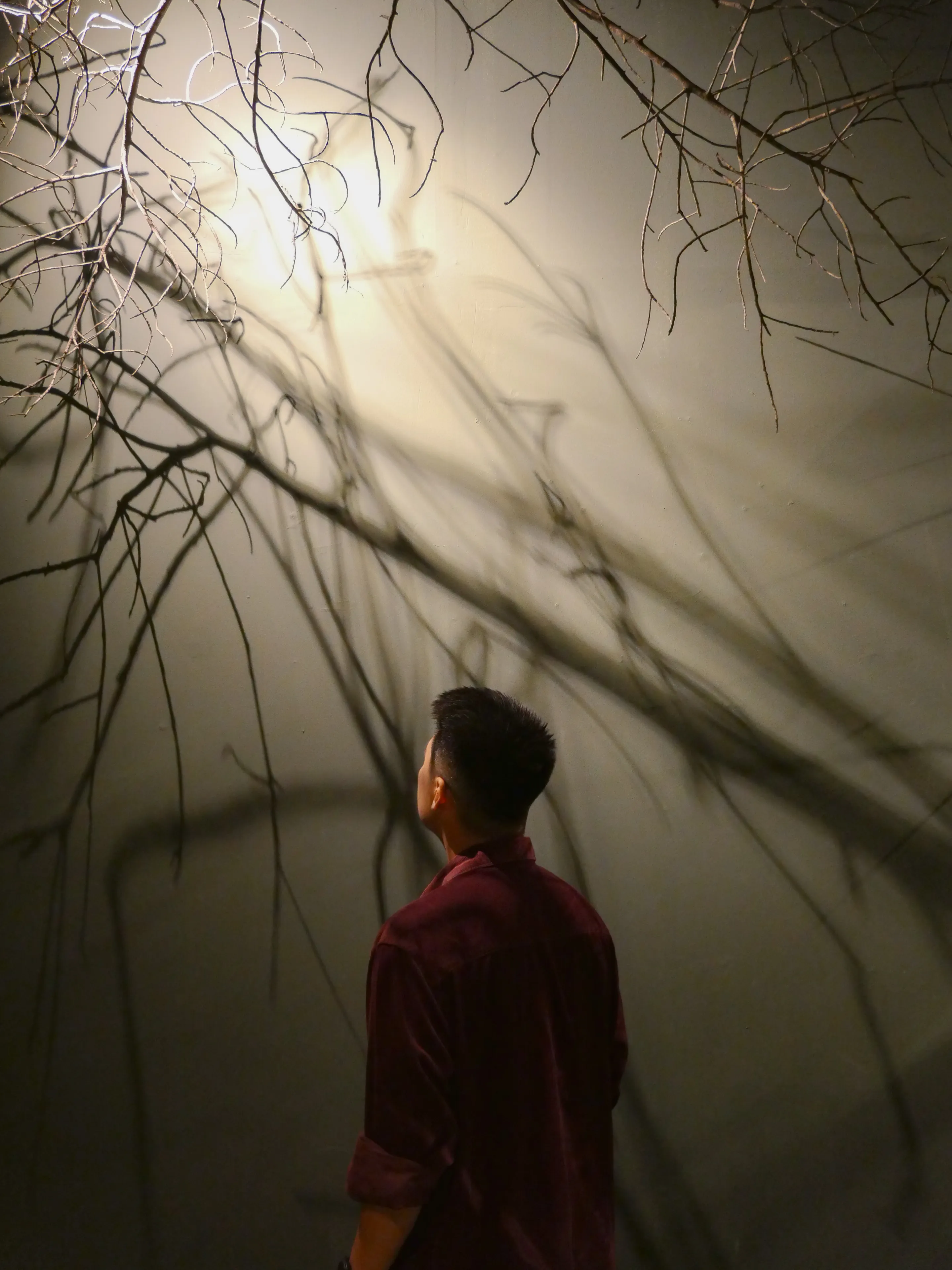 Forest Scent - Unveil Your Mystery ป่า และ น้ำหอม | แกลเลอรีที่โพสต์โดย ...