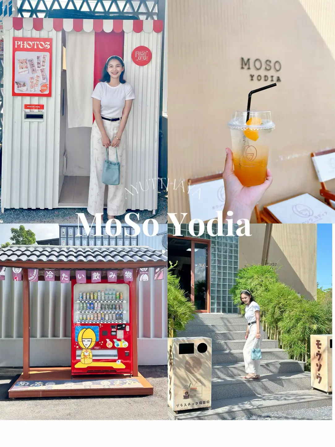 MoSo Yodia | แกลเลอรีที่โพสต์โดย Ket_sopita🍯 | Lemon8