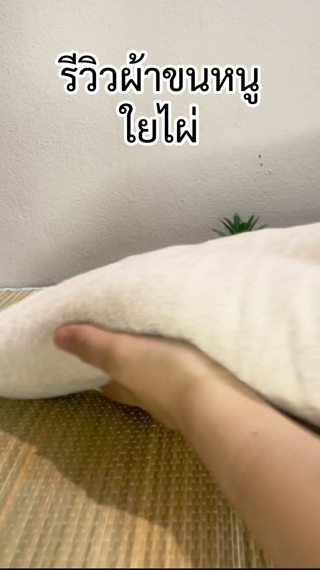 ผ้าขนหนูใยไผ่ ถ้าจะเลือกผ้าขนหนูให้เลือกผ้าขนหนูใยไผ่น้าาา 🥰 | วิดีโอที่เผยแพร่โดย P.63 | Lemon8