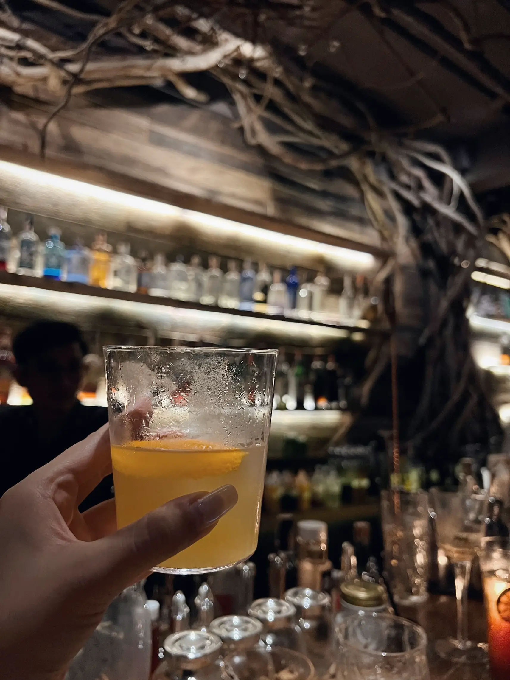 Root Bar : บาร์ลับ ย่านห้าแยกลาดพร้าว 🥃 | แกลเลอรีที่โพสต์โดย ...