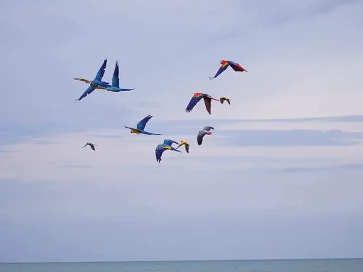 เพื่อนร่วมบินทริปนี้ | แกลเลอรีที่โพสต์โดย Freelife/time | Lemon8