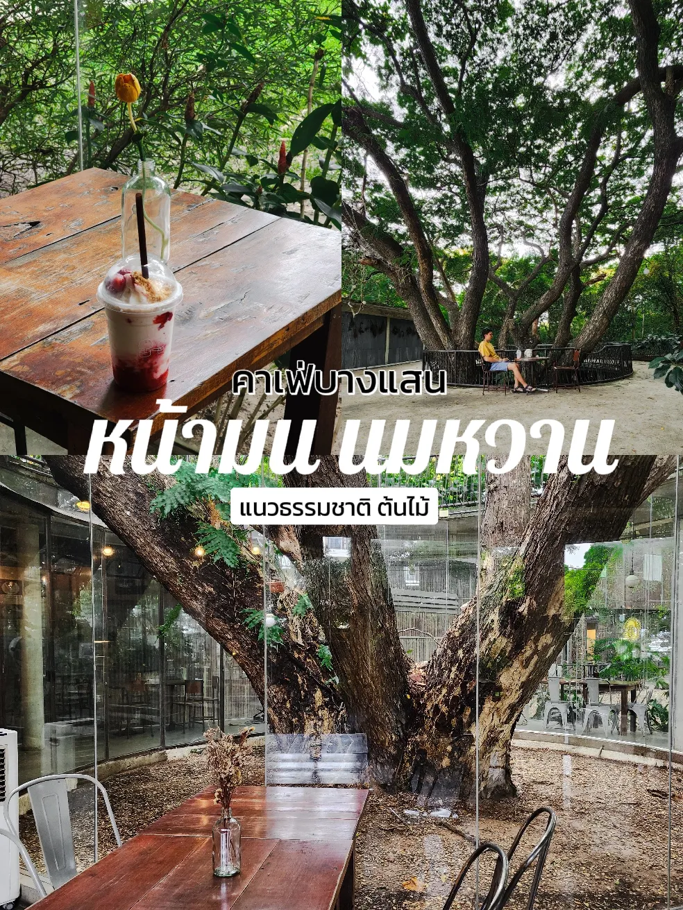 Rounded Face Sweet Milk | Wild Line Cafe | Bang Hundred Thousand ...