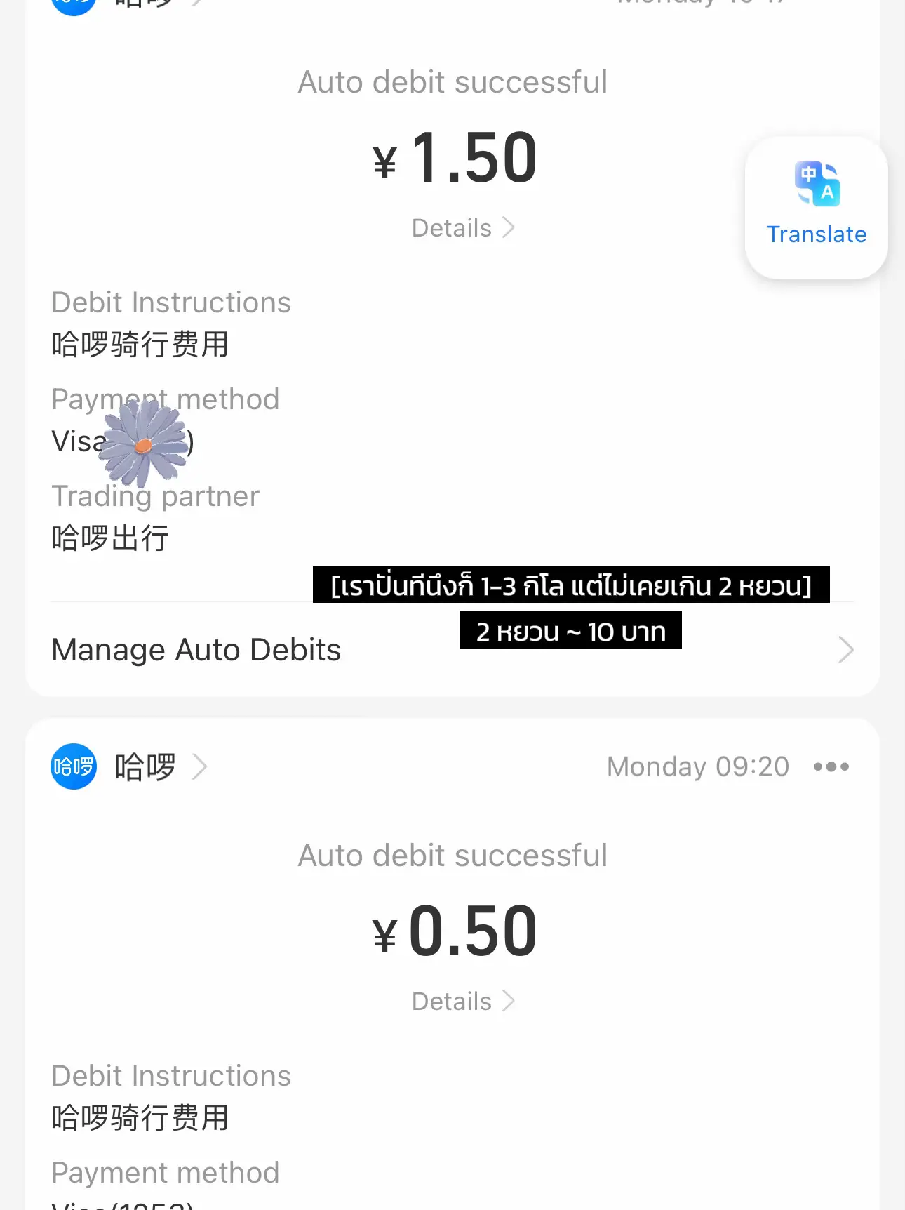 Reporting การค้นหาใน Lemon8