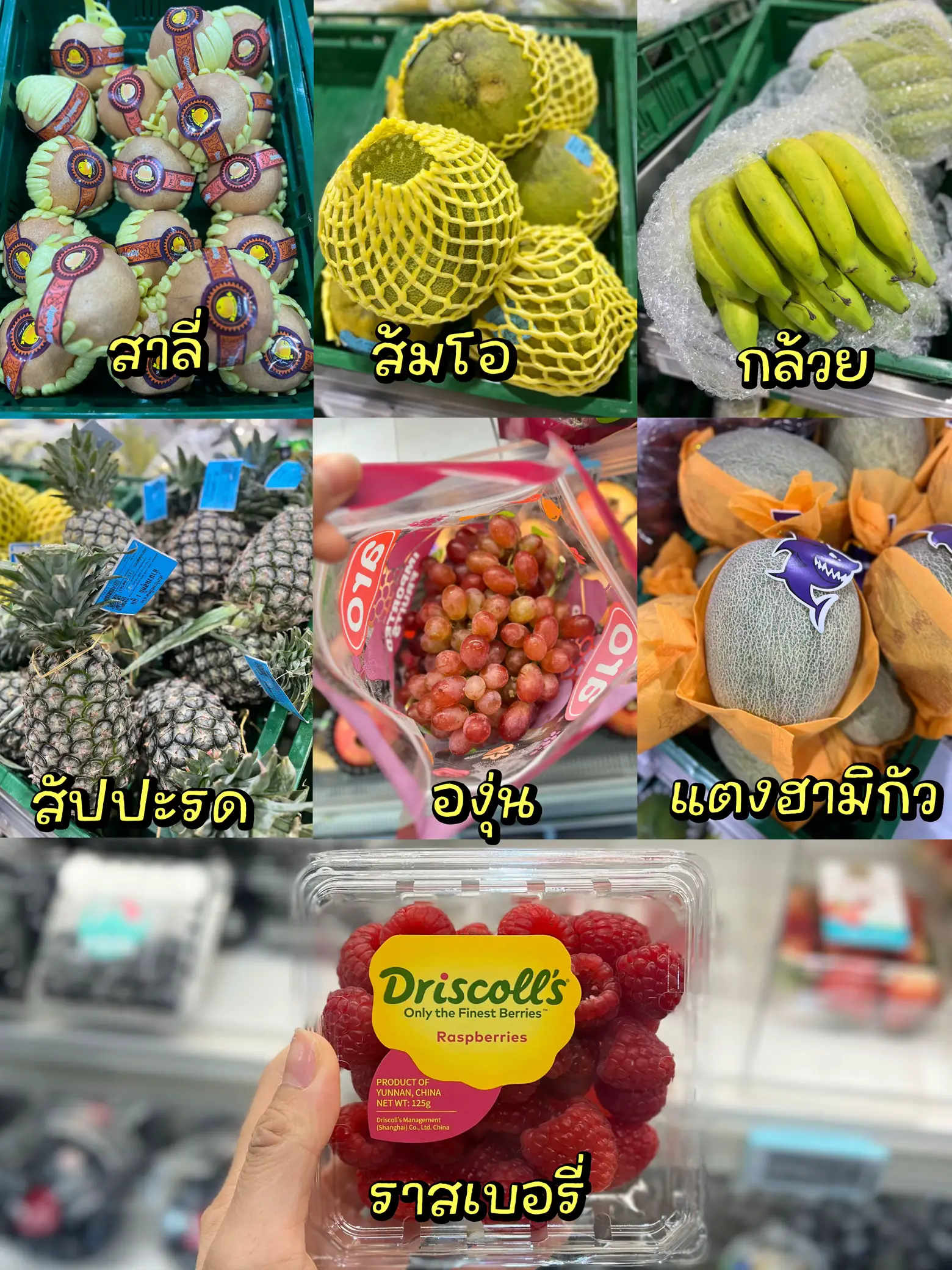 พาส่องผลไม้ใน Makro | แกลเลอรีที่โพสต์โดย Janelaya | Lemon8