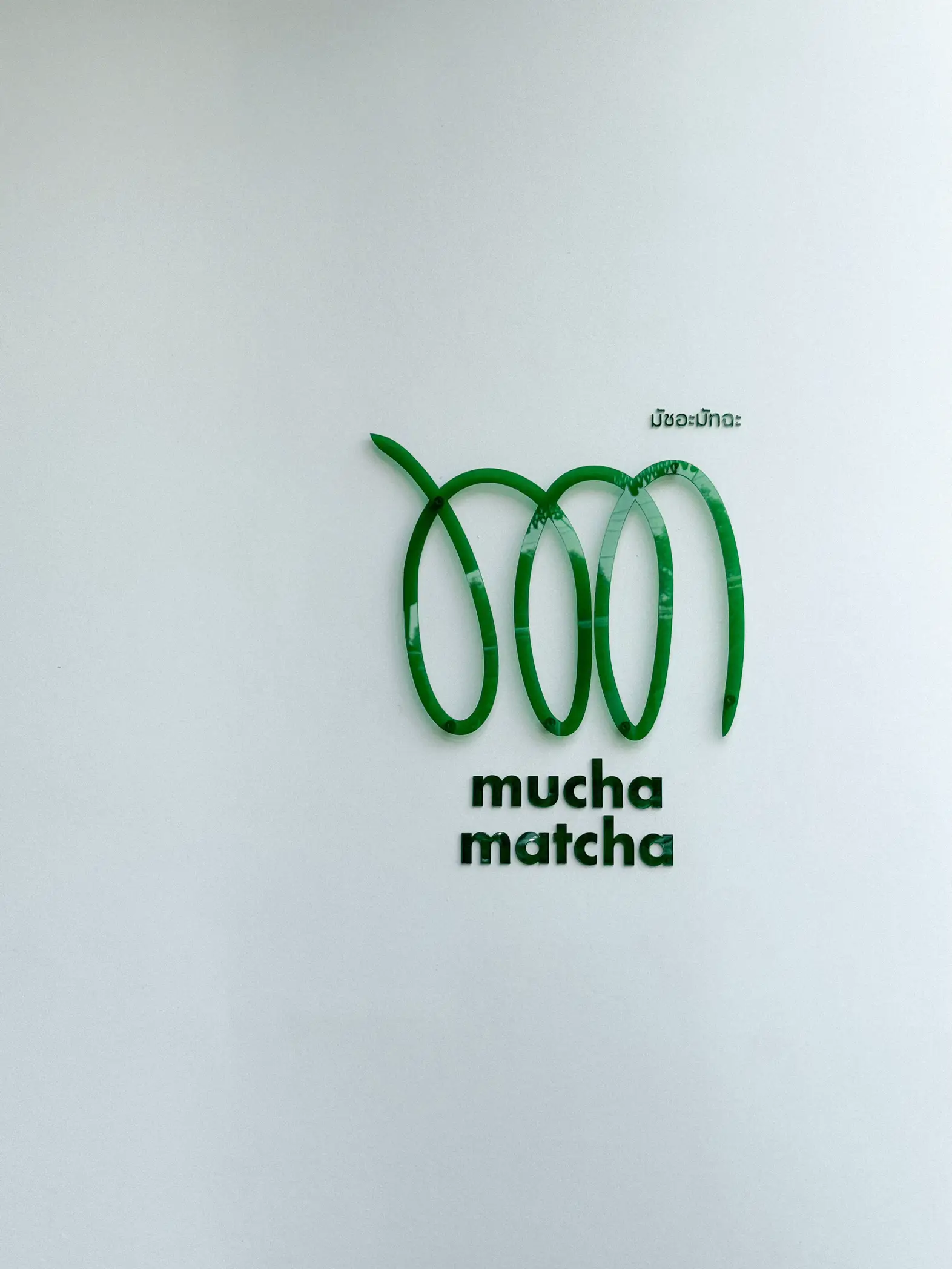 mucha matcha 🍃🍵 | แกลเลอรีที่โพสต์โดย normore. | Lemon8