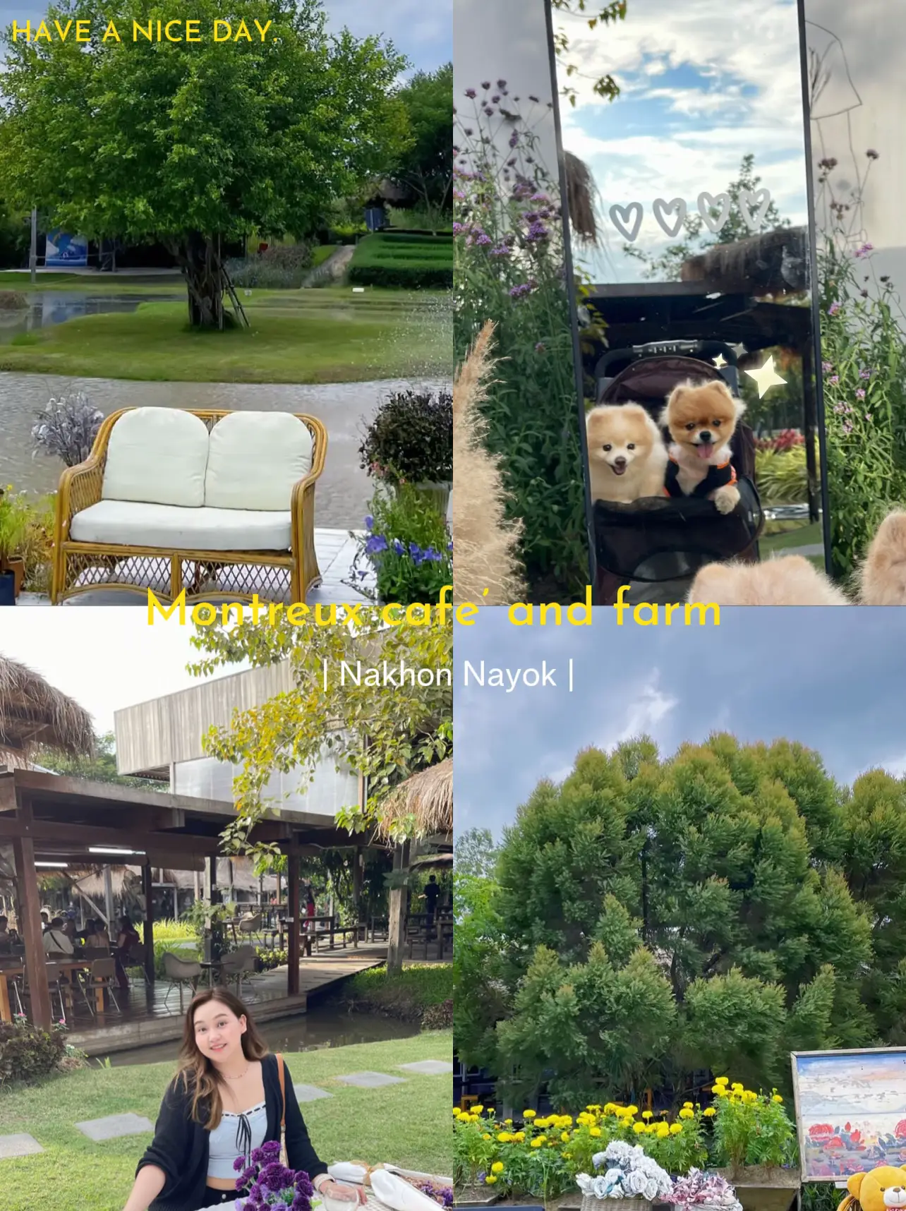 Montreux cafe’ and farm | แกลเลอรีที่โพสต์โดย HAp.Pl y | Lemon8