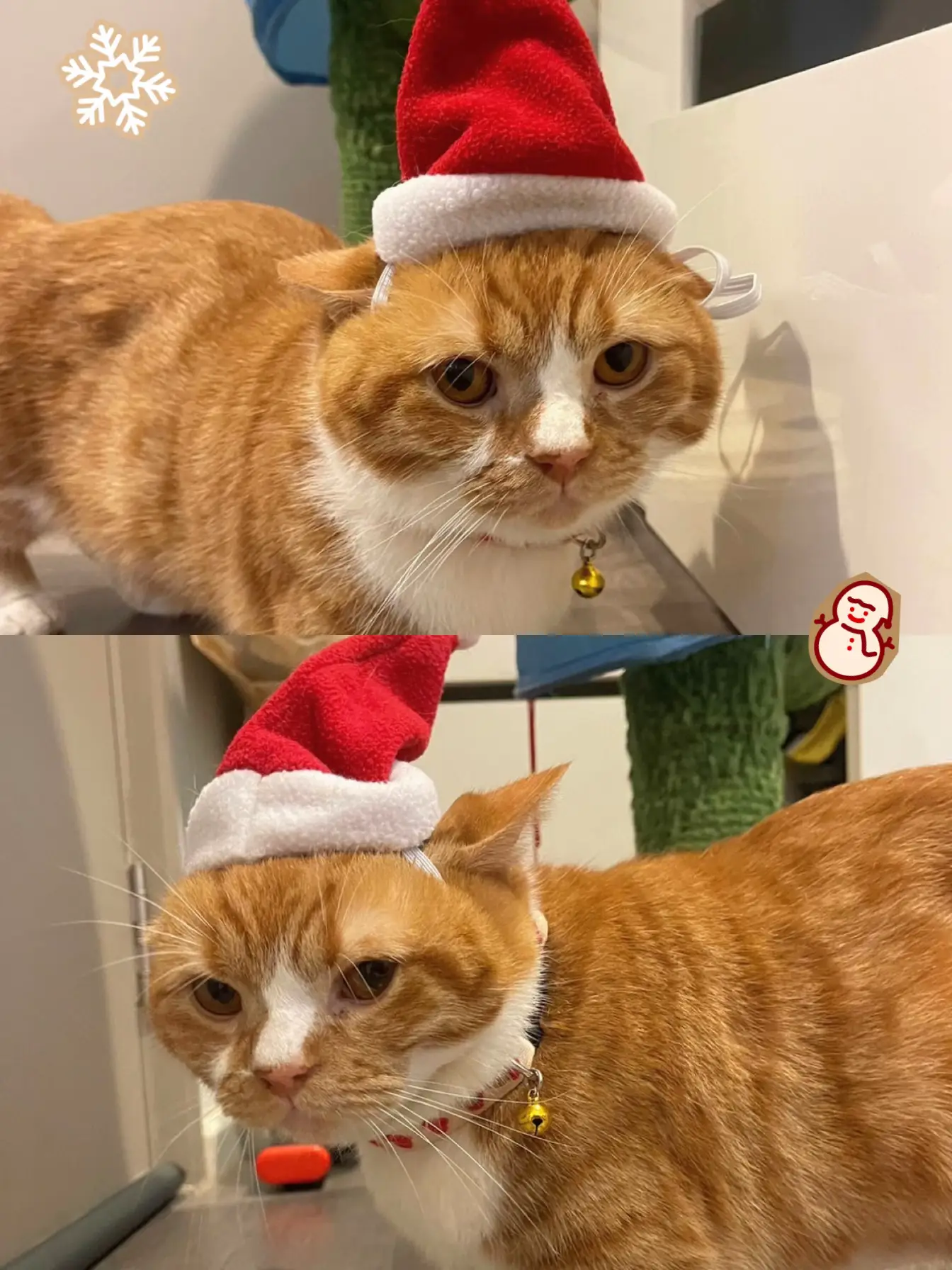 Merry Christmas 🧸🧣 🏻 🎄🫕🎅🏻 🏡🗼💡 | แกลเลอรีที่โพสต์โดย bebow🎈42♾ | Lemon8