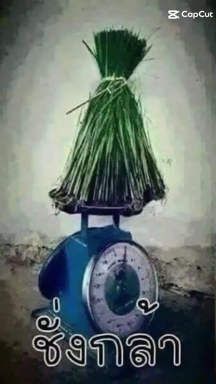 เหตุไฉนเจ้าชั่งกล้าทำเยี่ยงนี้ | วิดีโอที่เผยแพร่โดย Big Win | Lemon8