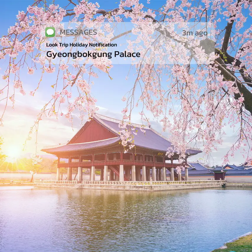 🌸จุดชมซากุระที่โซล (𝙎𝙚𝙤𝙪𝙡) ประเทศเกาหลีใต้ (𝙆𝙤𝙧𝙚𝙖🇰🇷) | แกลเลอรีที่โพสต์โดย looktripholiday | Lemon8