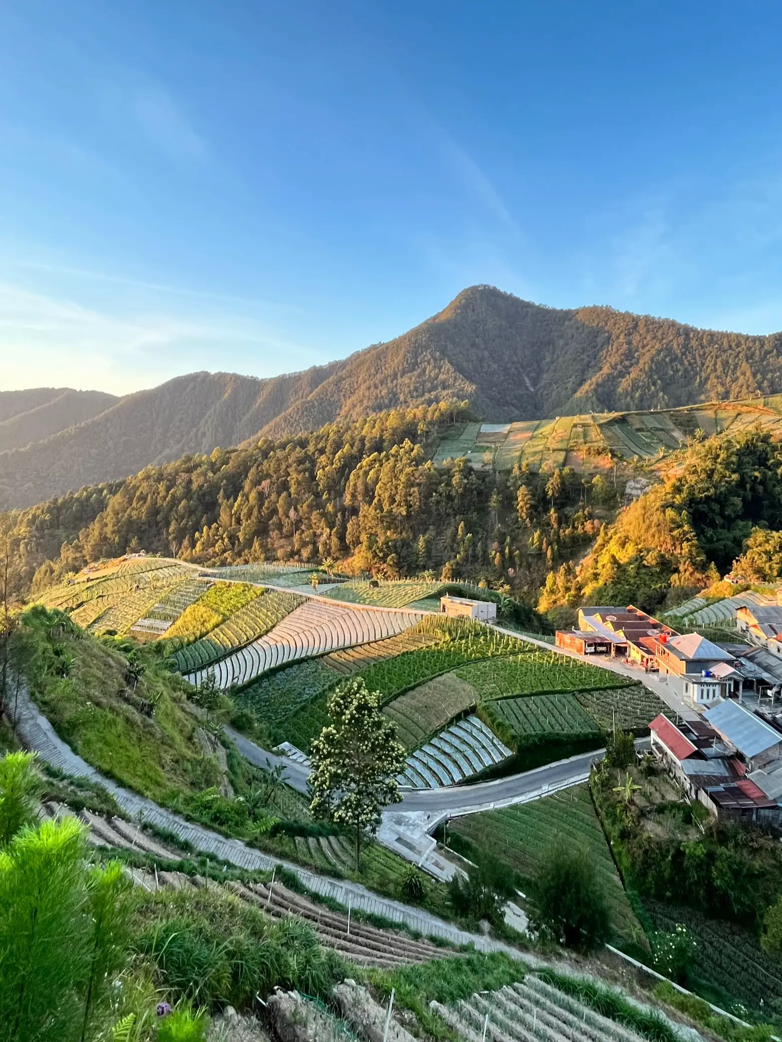 Wonomulyo High Land. Salah satu spot camp terbaik. | Video diterbitkan oleh MAGETAN UPDATE | Lemon8
