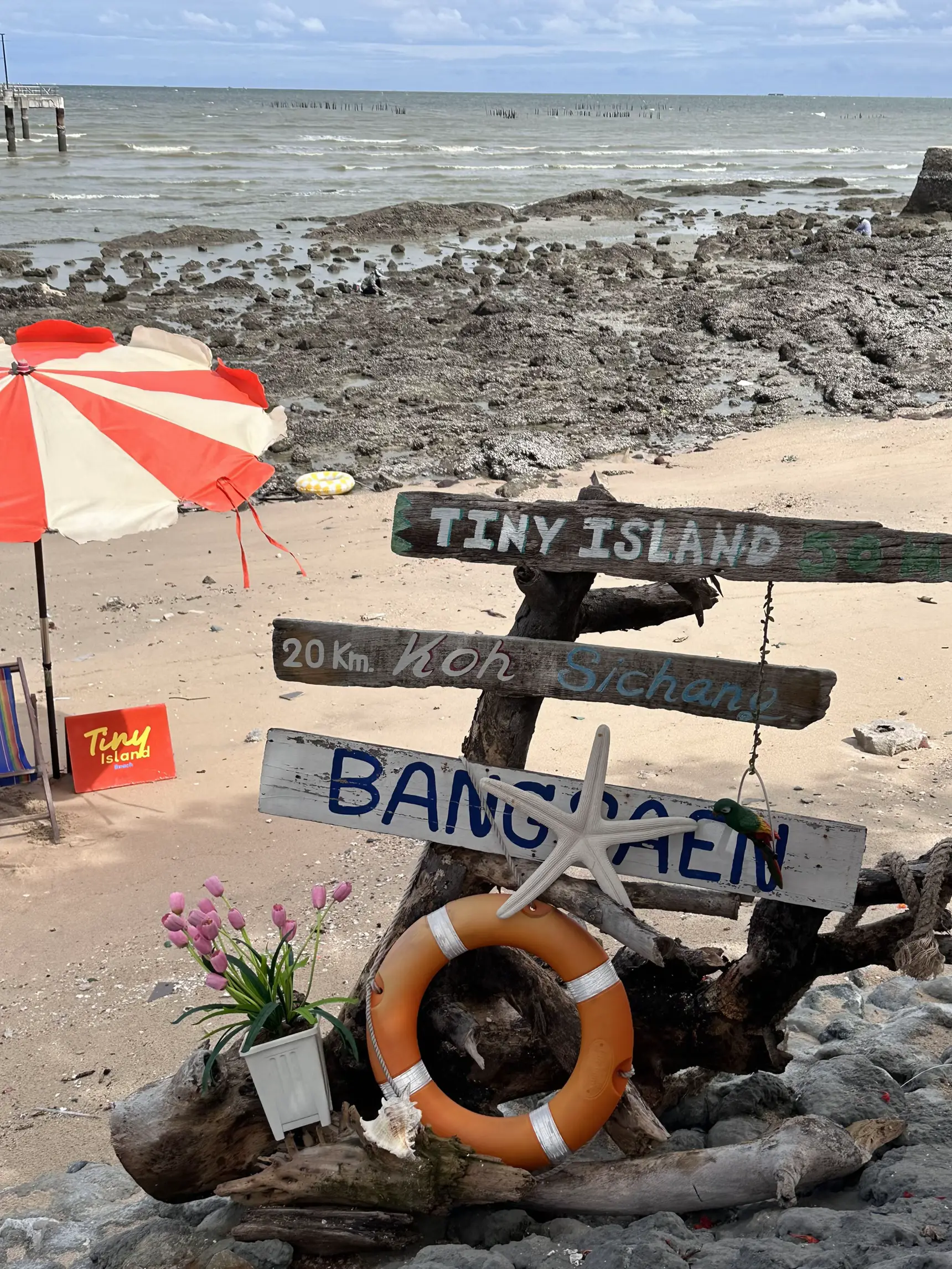 Tiny Island Cafe🌺🥂 พิกัดคาเฟ่เกาะลับบางแสน | แกลเลอรีที่โพสต์โดย salinthip♡ | Lemon8