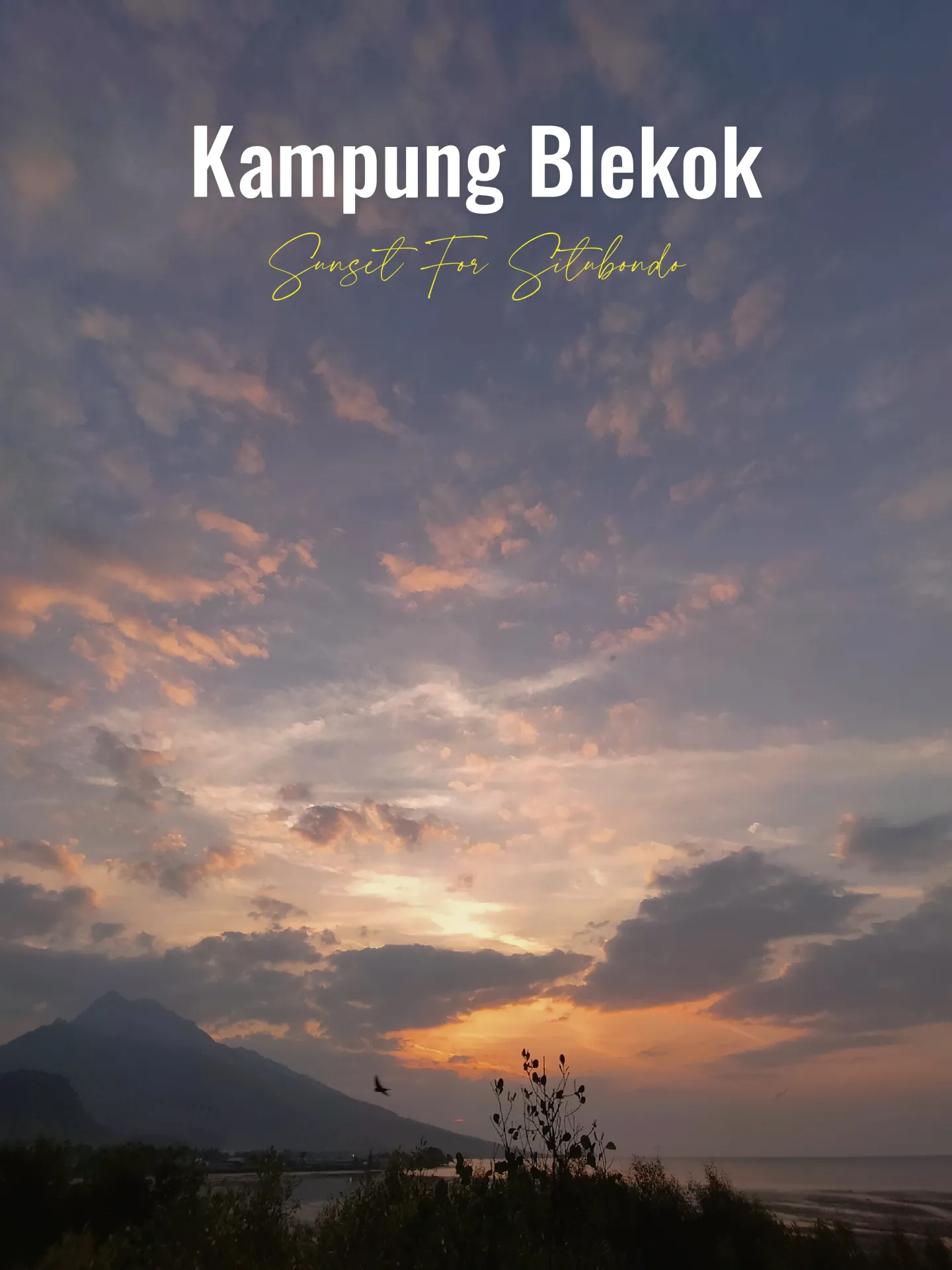 Kampung Blekok | Galeri diposting oleh Maria Kittia | Lemon8