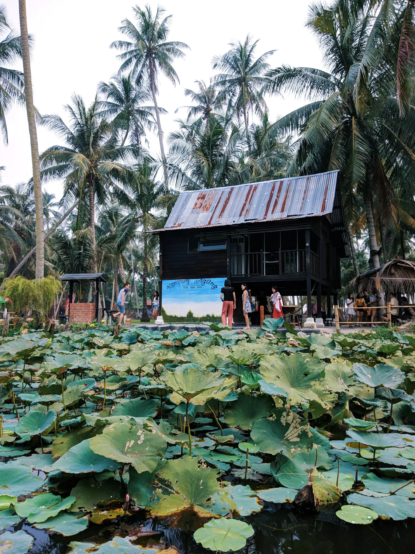 Kampung Agong - Lokasi OOTD Ala-'Bali' di Penang? | Galeri disiarkan ...