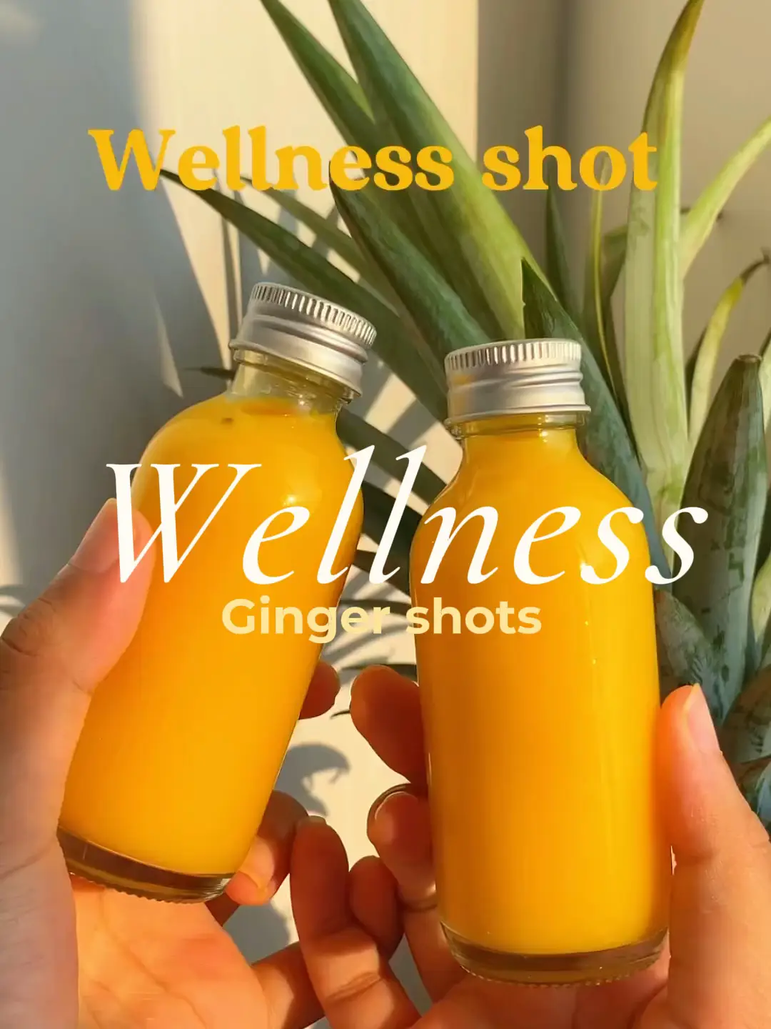 Wellness shot | วิดีโอที่เผยแพร่โดย Namkhingisis | Lemon8