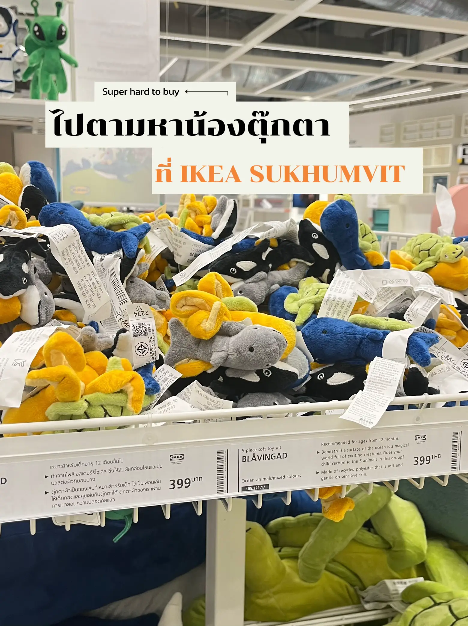 อัพเดทน้องตุ๊กตา IKEA Sukhumvit | แกลเลอรีที่โพสต์โดย babyrubymayy | Lemon8