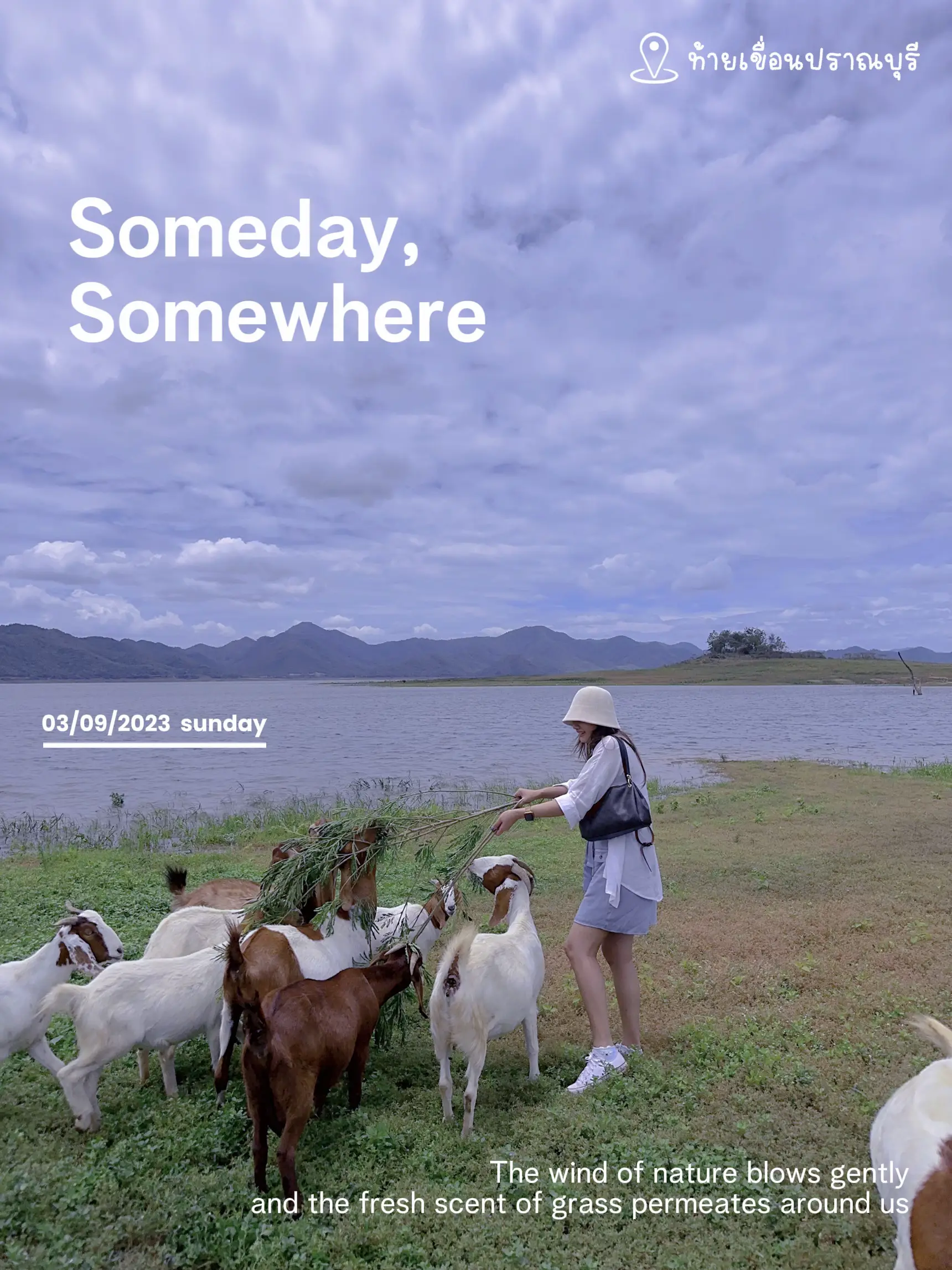Someday,Somewhere | แกลเลอรีที่โพสต์โดย Maleficent🍷 | Lemon8