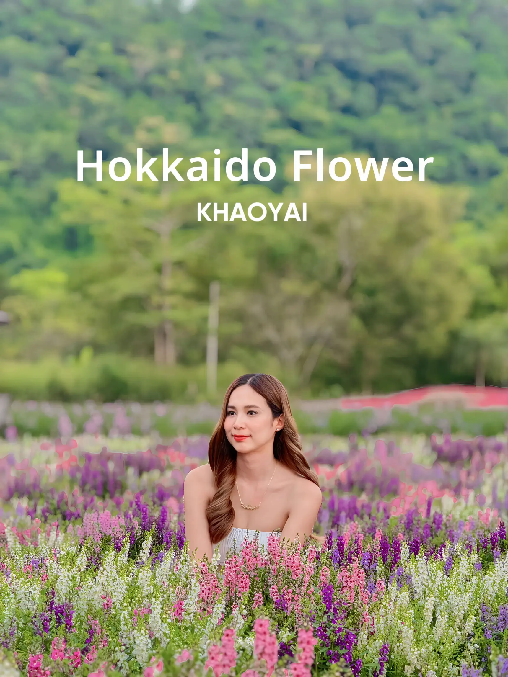 Hokkaido Flower Park Khaoyai | แกลเลอรีที่โพสต์โดย All Around Me | Lemon8
