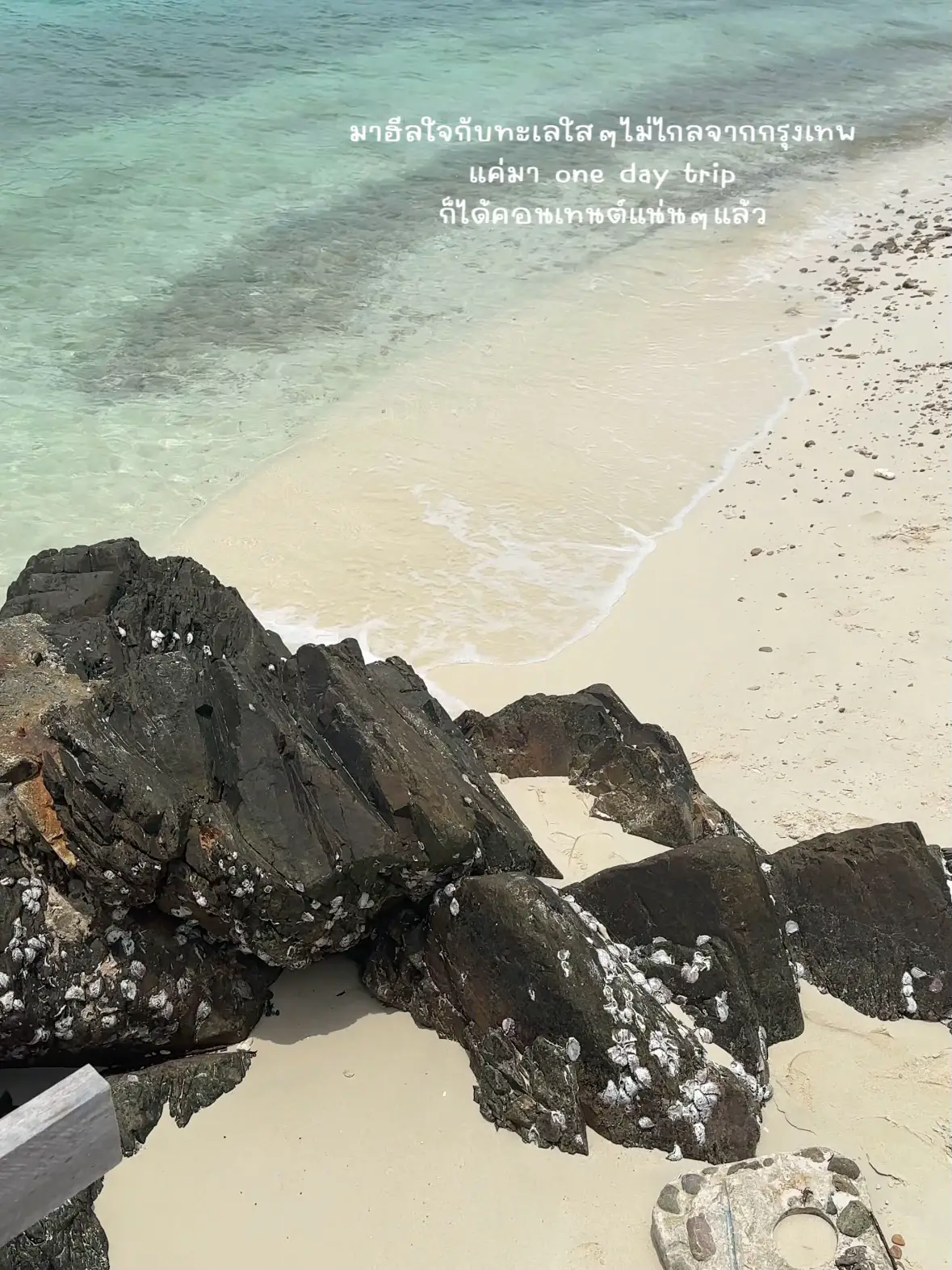 สุดมันส์! ทริปวันเดียว เกาะขาม สัตหีบ 2025