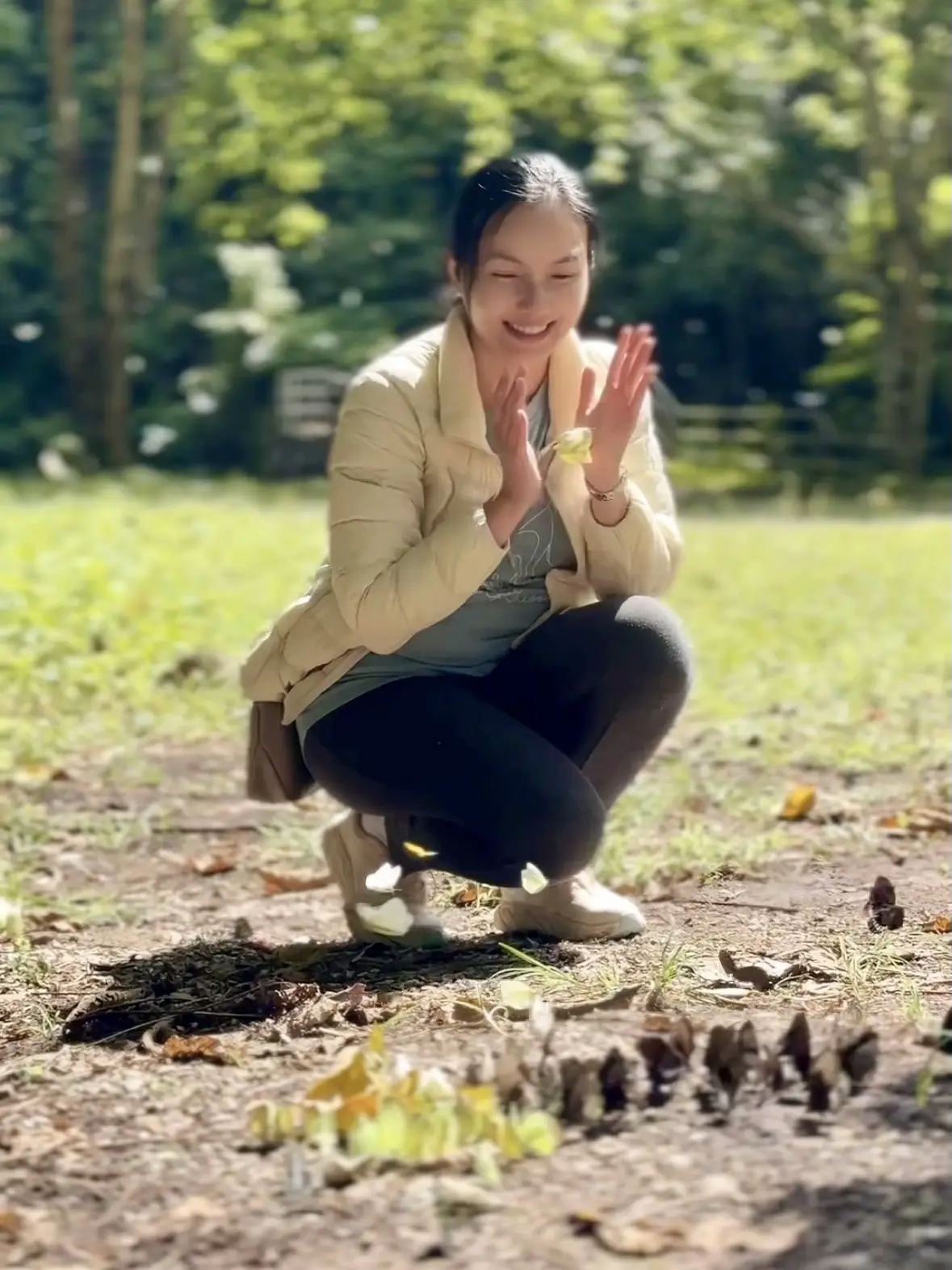 ผีเสื้อ🦋นับล้านที่แก่งกระจาน เพชรบุรี 1 ปีมีช่วงเดียว | แกลเลอรีที่โพสต์โดย Dr.Rung.HappyD | Lemon8