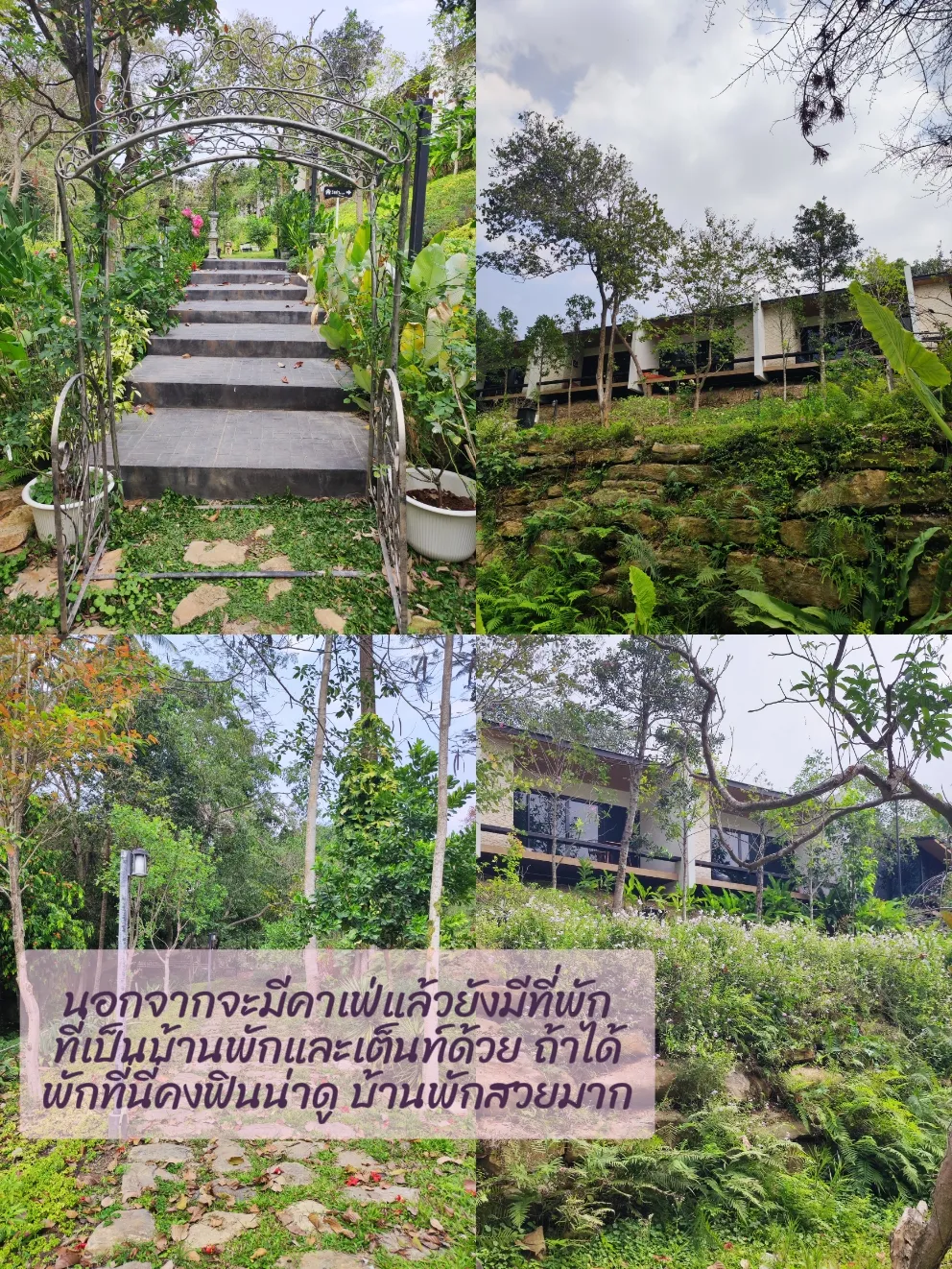 เพลินธาร คาเฟ่ลับริมน้ำตกเจ็ดสาวน้อย | แกลเลอรีที่โพสต์โดย PSH.Freedom ...