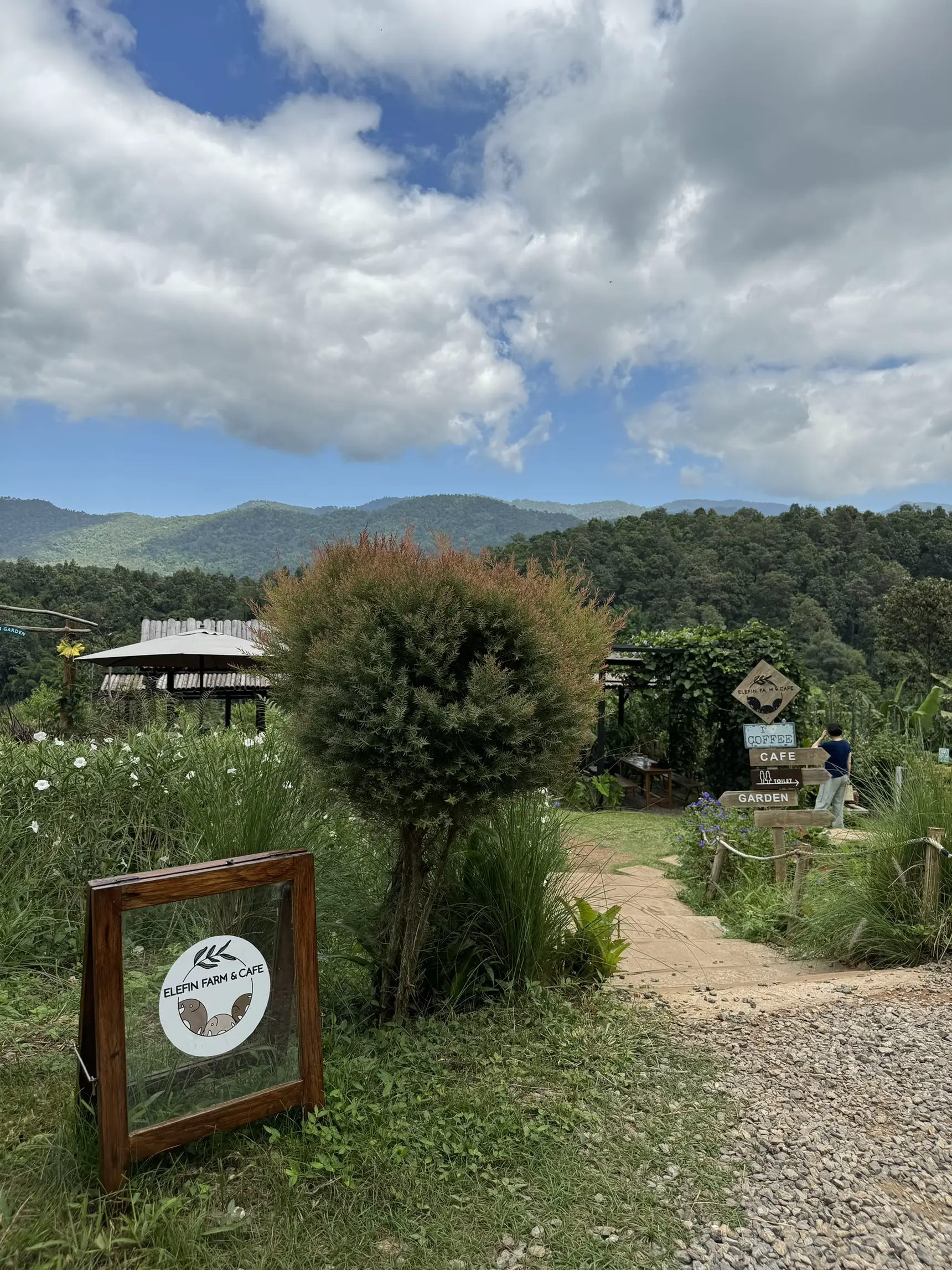 Elefin Farm & Cafe คาเฟ่ช้างพร้อมวิวหลักล้าน | แกลเลอรีที่โพสต์โดย ...