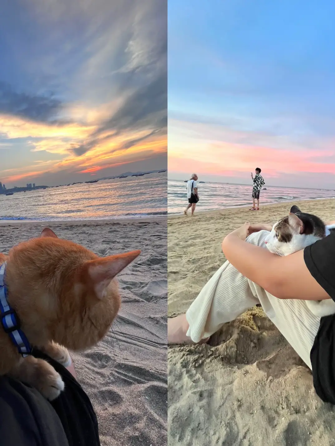 Take children to travel 🛷🐱🎄 | Gallery posted by Roger rabbit | Lemon8