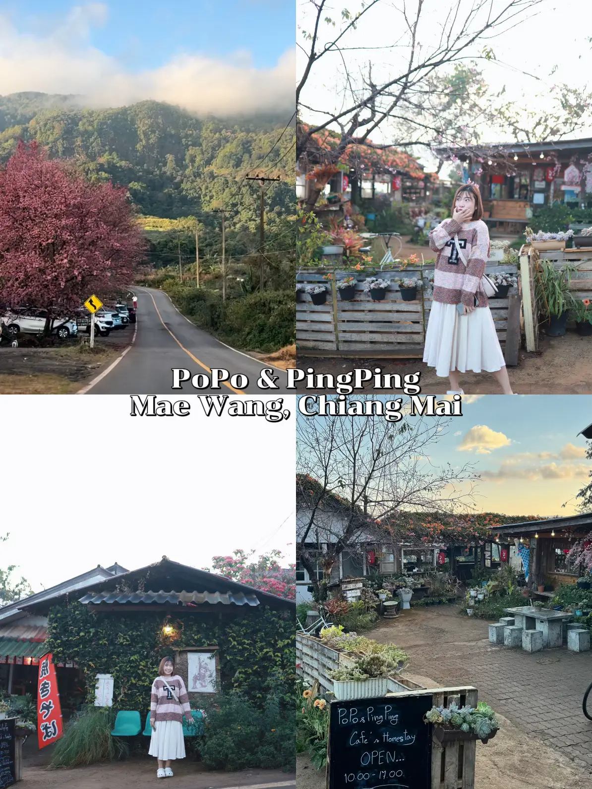 รวม 6 คาเฟ่สไตล์ญี่ปุ่น ที่เชียงใหม่ ฉบับอัพเดต | แกลเลอรีที่โพสต์โดย Toey Mono | Lemon8