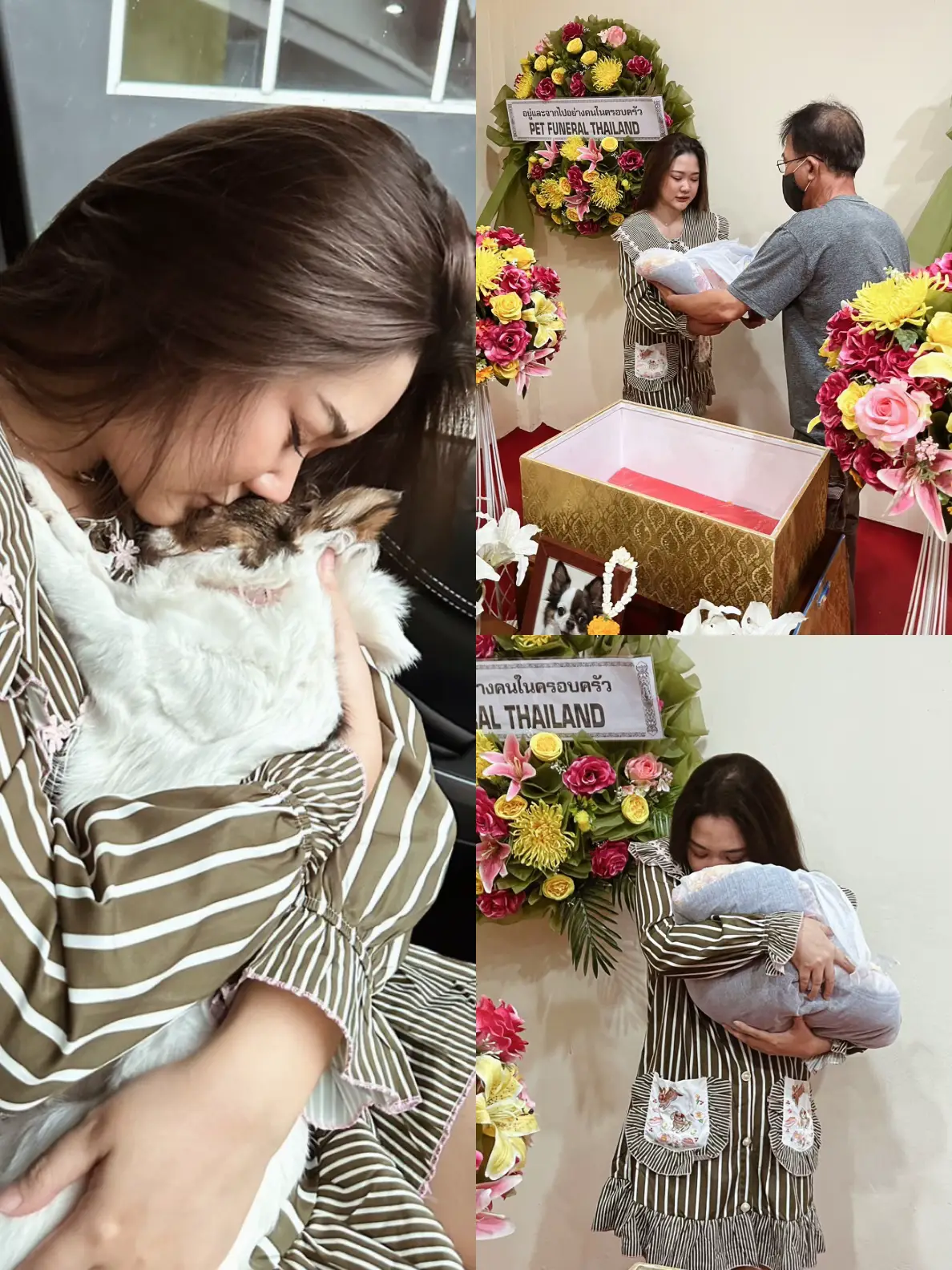 แจกมีมน้องหมา ลางาน🐶 | แกลเลอรีที่โพสต์โดย Proxumer | Lemon8