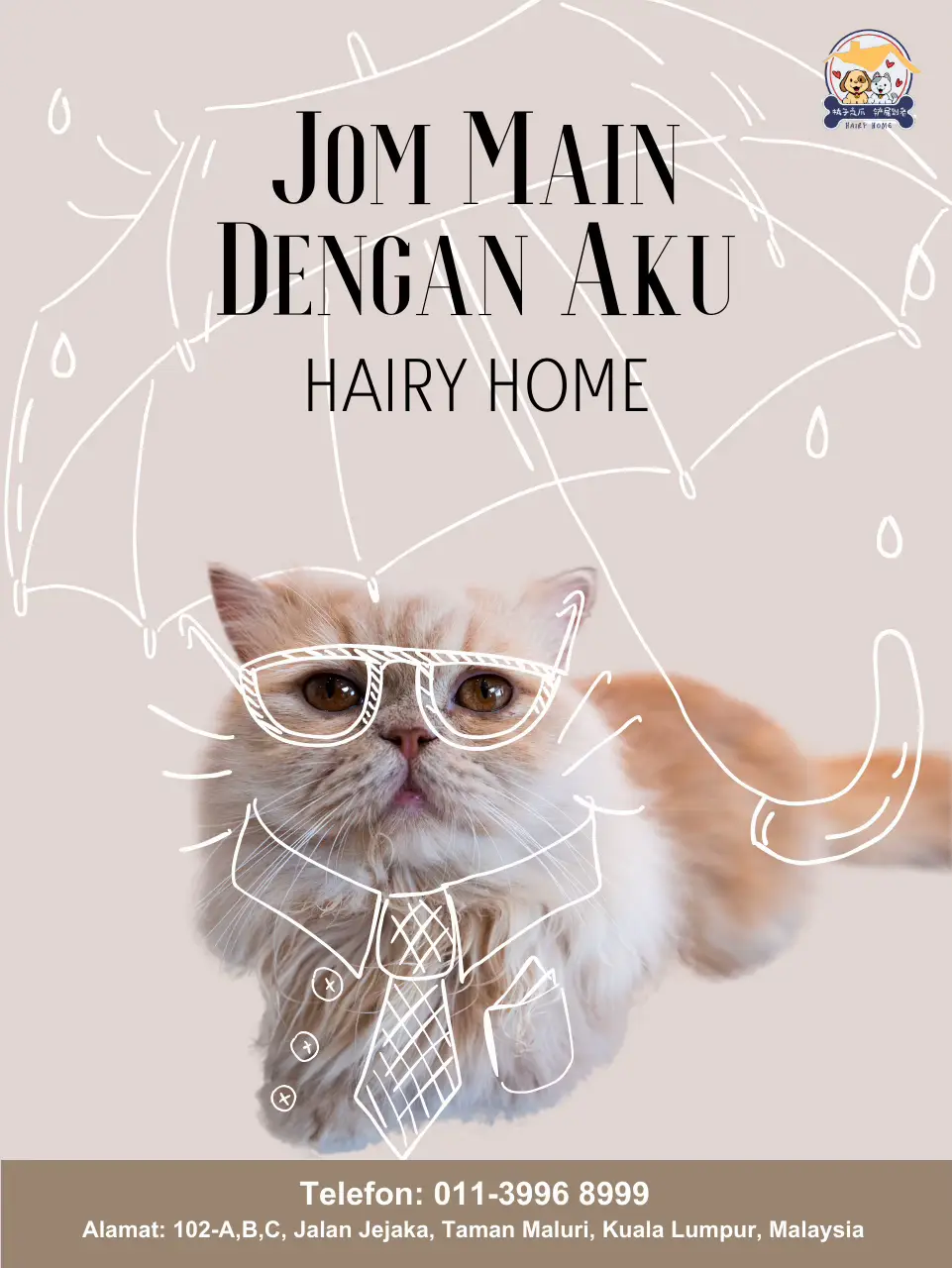 Jom menbawa kucing anda untuk bermain dengan kita! | Galeri disiarkan oleh HAIRY HOME | Lemon8