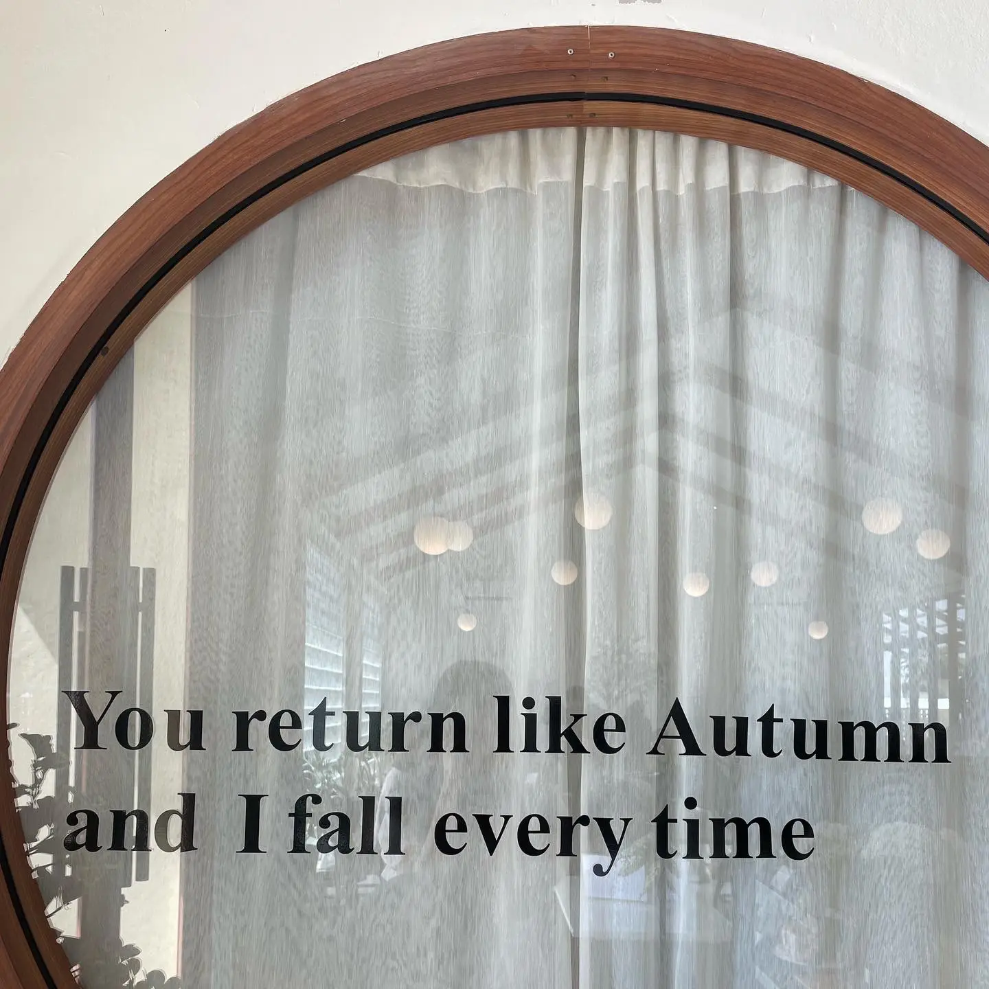 Autumn Haus คาเฟ่นครปฐม | แกลเลอรีที่โพสต์โดย Ging Chacha | Lemon8