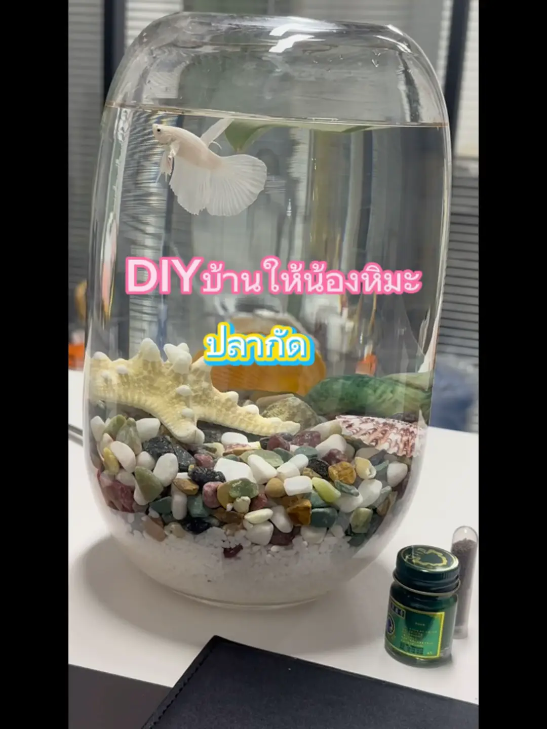 DIYบ้านให้น้องหิมะ | วิดีโอที่เผยแพร่โดย Super_cat | Lemon8