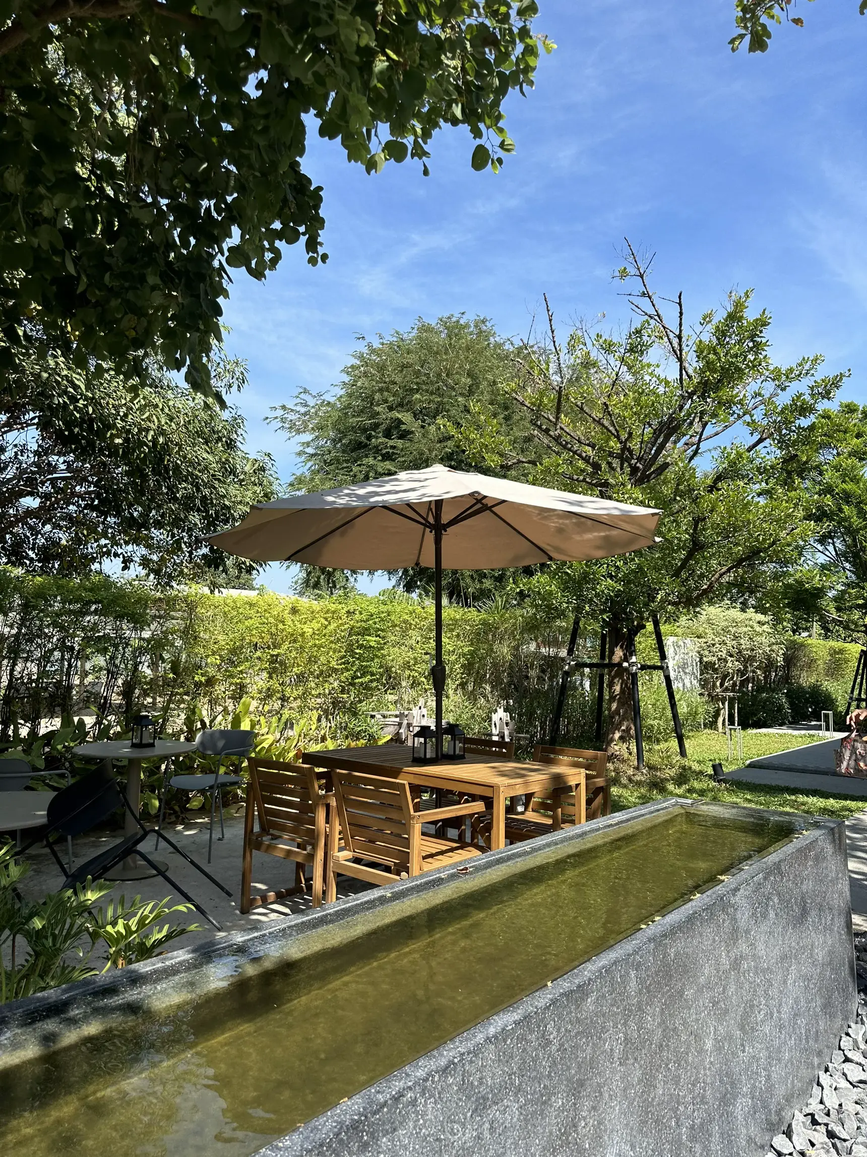 คาเฟ่ในอยุธยา ที่ให้ฟีลเหมือนอยู่เขาใหญ่ | Arayah Coffee ☕️ | แกลเลอรี ...