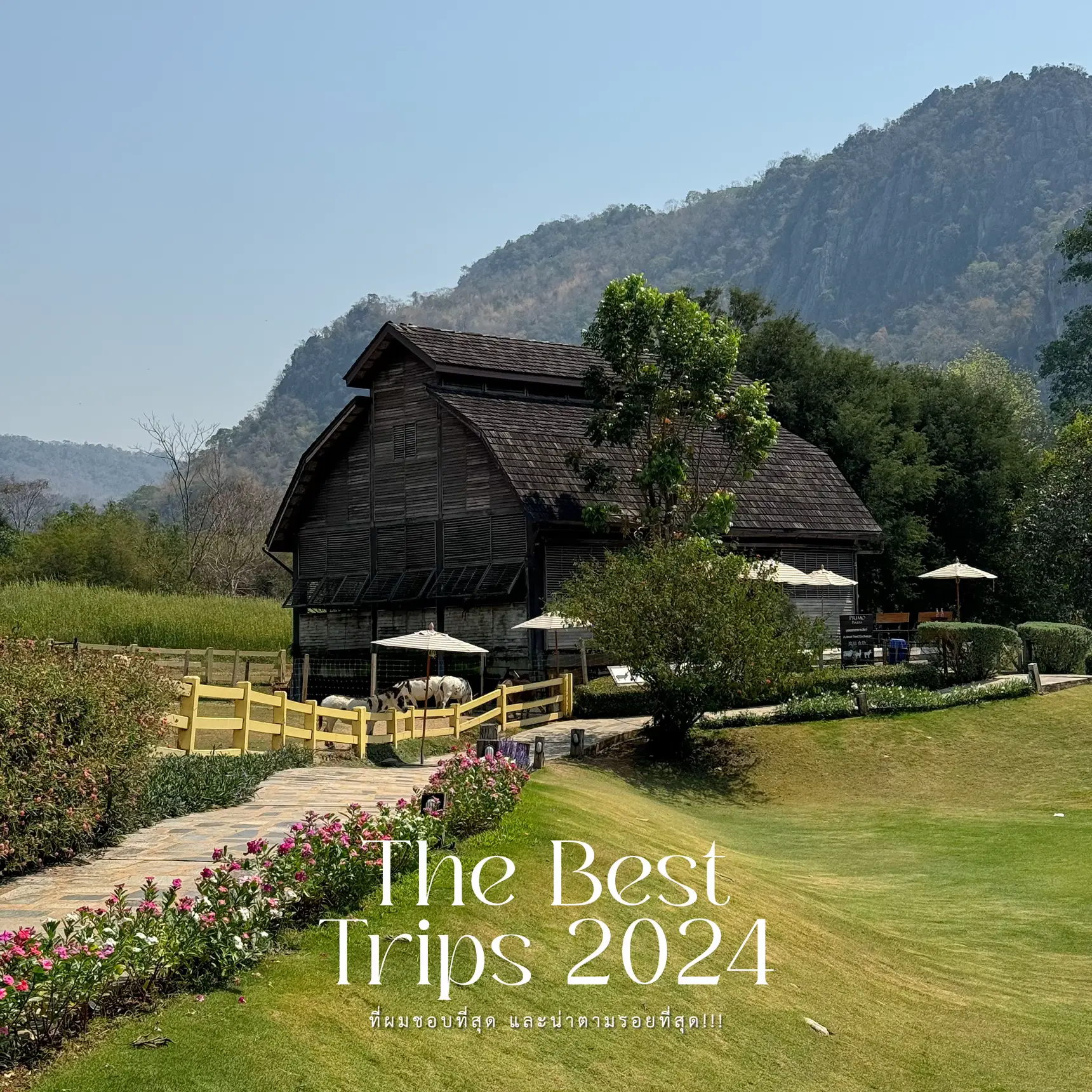The Best Trips 2024 ที่ผมชอบที่สุด และน่าตามรอยที่สุด!!!🍃💚 | แกลเลอรี ...