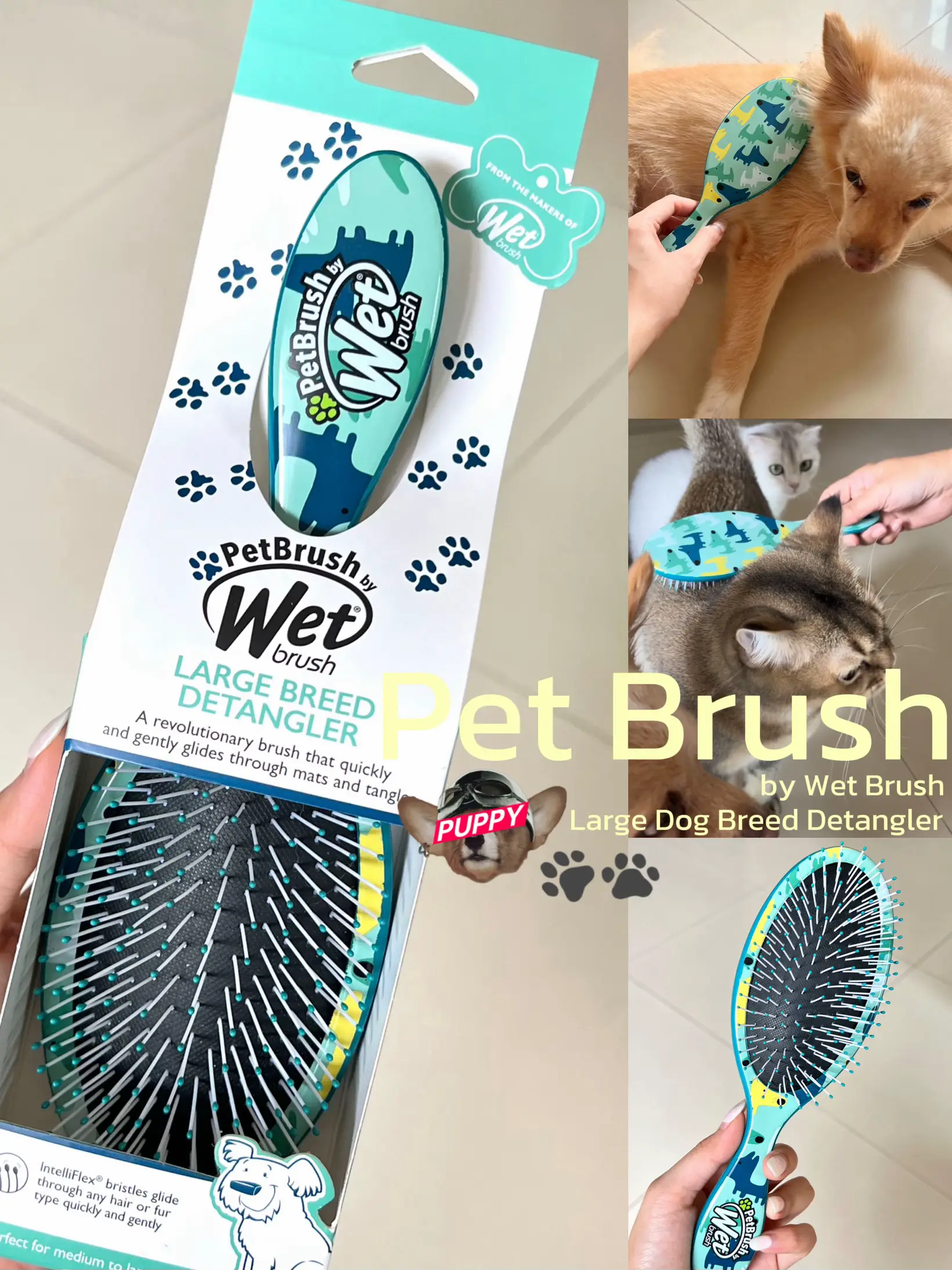 🐶หวีแปรงสัตว์เลี้ยงที่จริงใจ | Pet Brush by Wet Brush | แกลเลอรีที่โพสต์โดย pluem | Lemon8