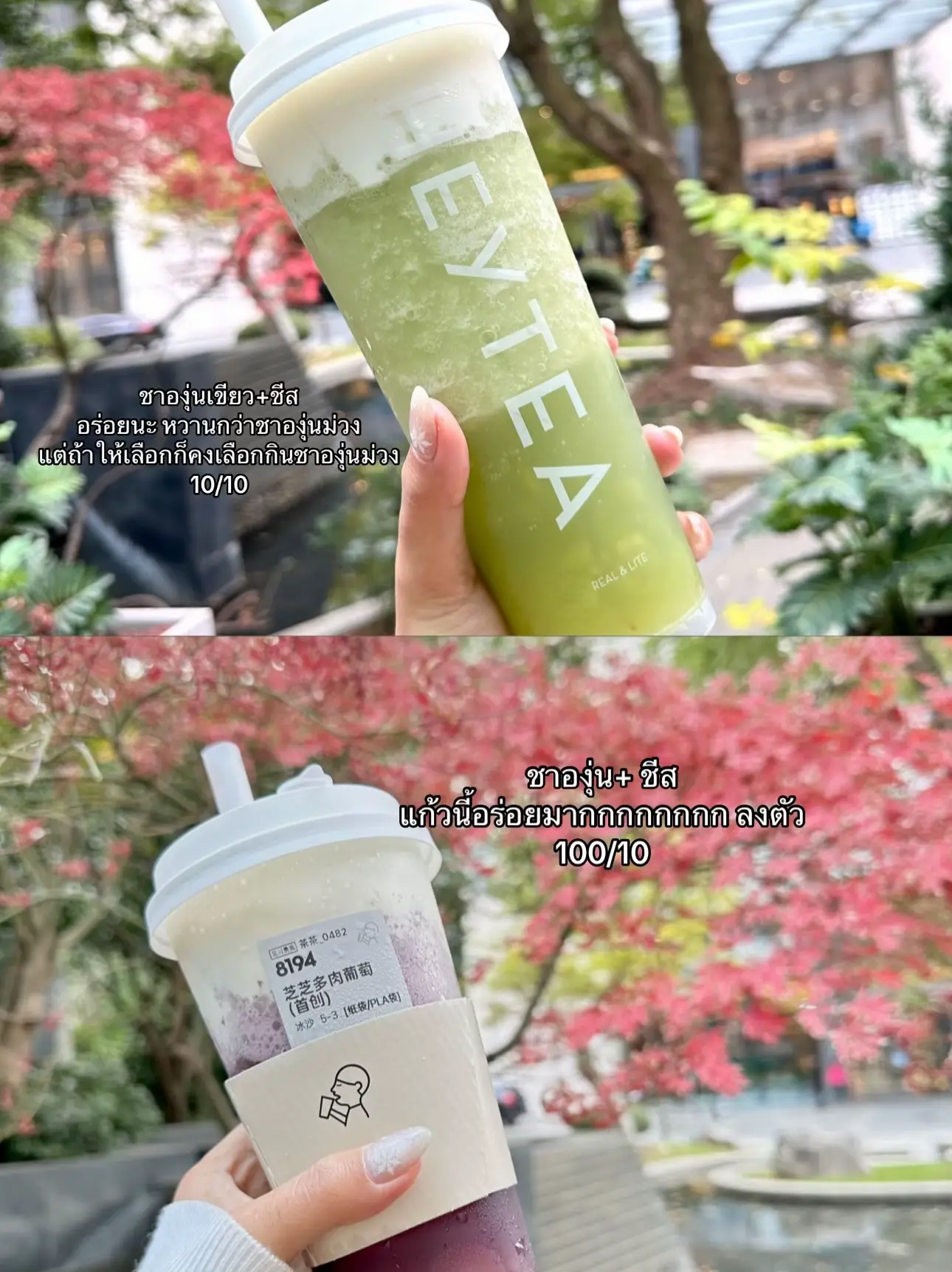 ริวิวอาหารเซี่ยงไฮ้🇨🇳 | แกลเลอรีที่โพสต์โดย Jiranan_h2O | Lemon8