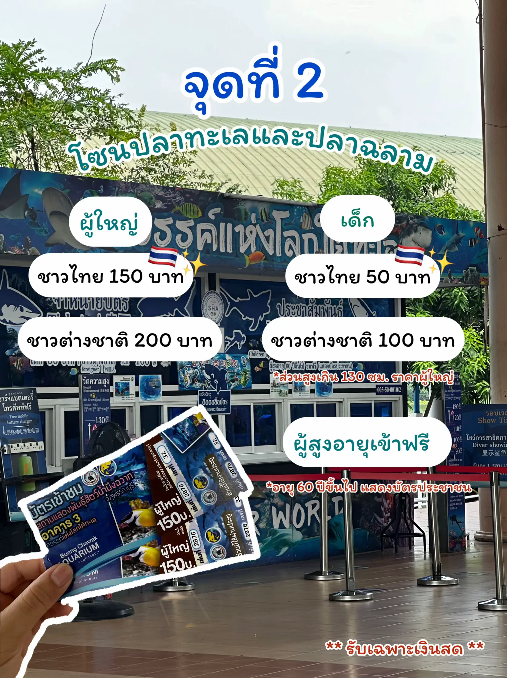 1 Day trip บึงฉวากเฉลิมพระเกียรติ จ.สุพรรณบุรี | แกลเลอรีที่โพสต์โดย Kaow | Lemon8