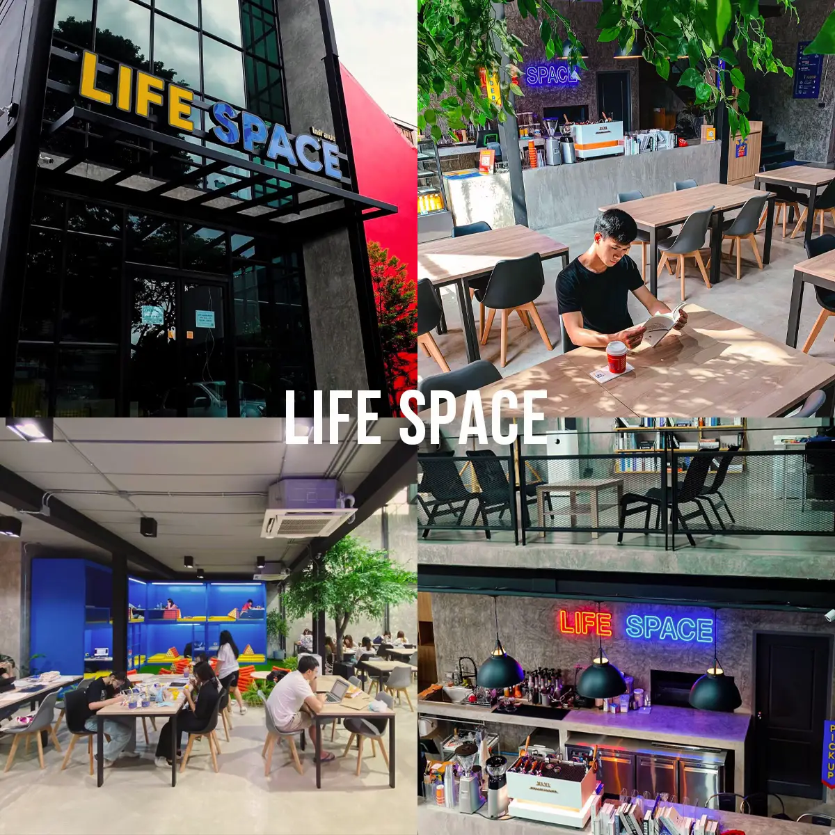 12 Co-Working Space เชียงใหม่ 2024 💡🪑🫶🏻 | แกลเลอรีที่โพสต์โดย NorthSpace | Lemon8