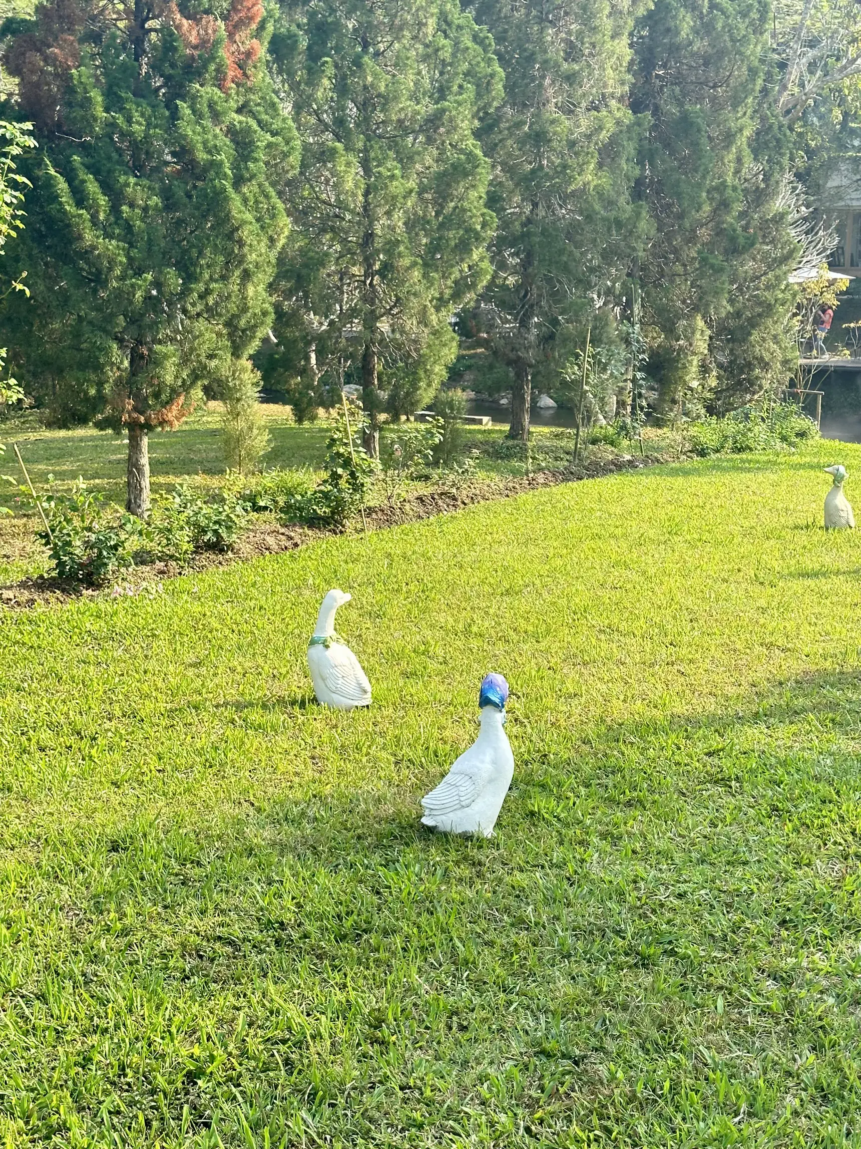 Canary Farm Cafe & Restaurant | แกลเลอรีที่โพสต์โดย กาต้มน้ำการ์ตูน ...